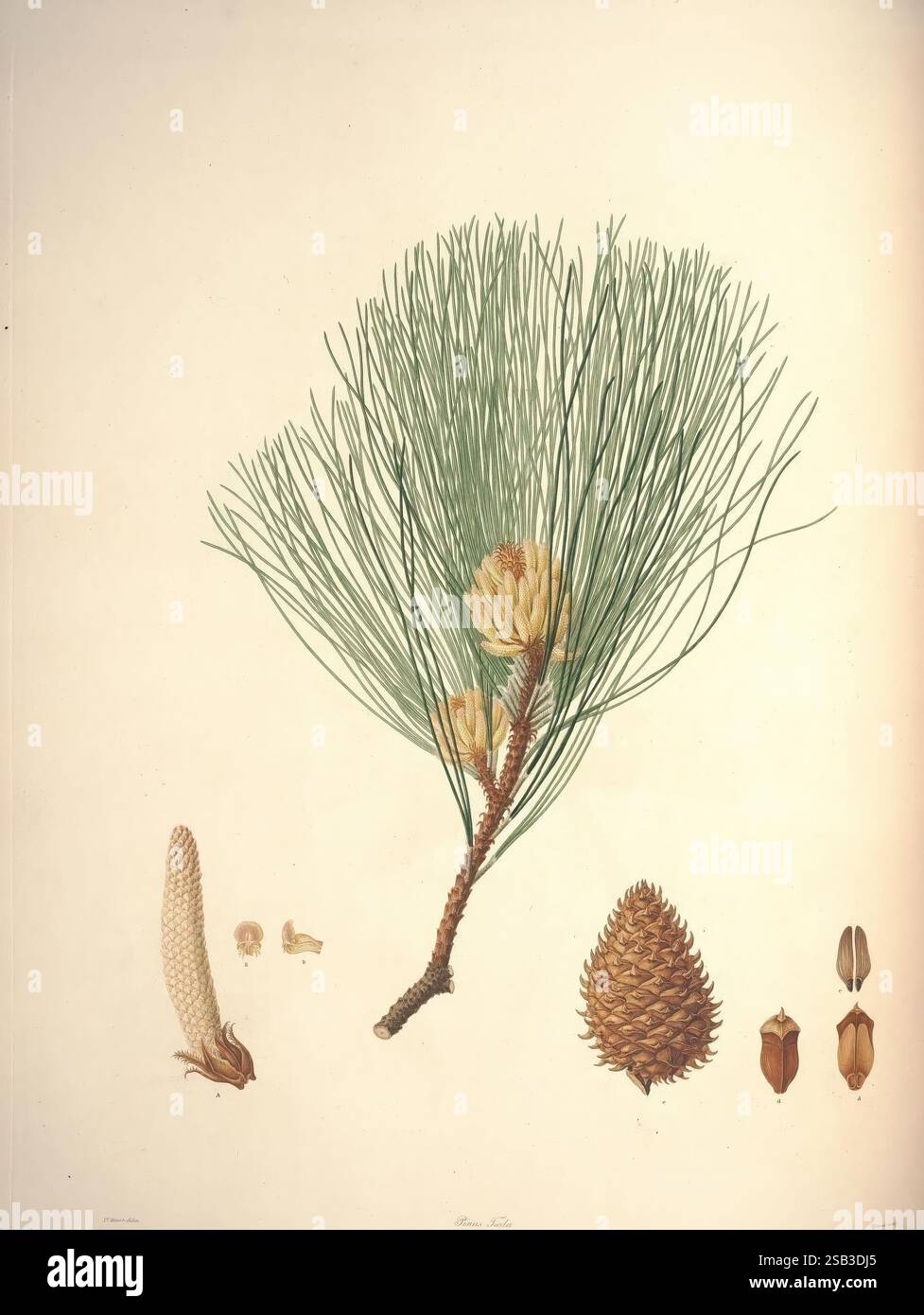 Additional smaller structures hi-res stock photography and images - Alamy