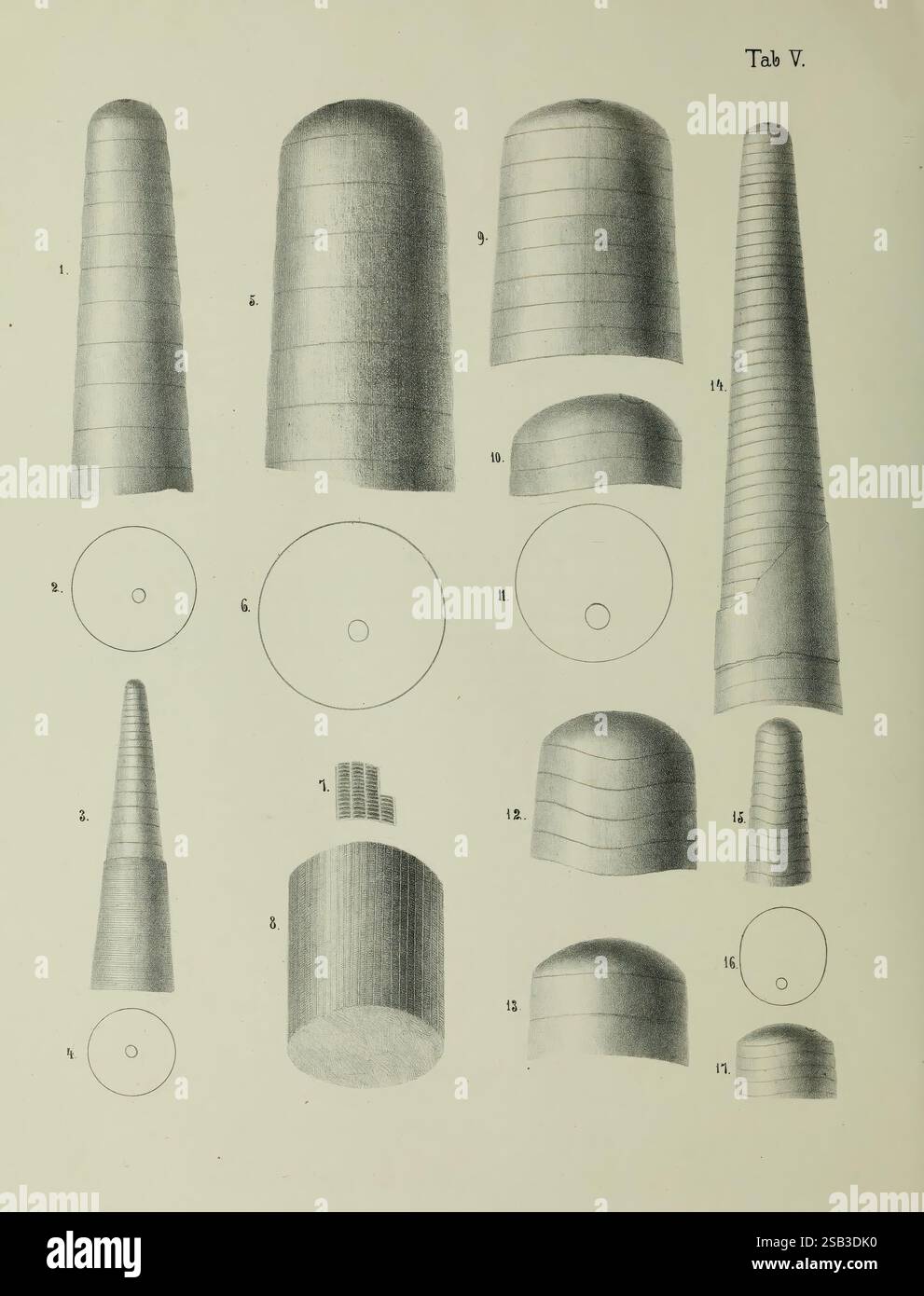 Top row showcases different cone variations hi-res stock photography ...