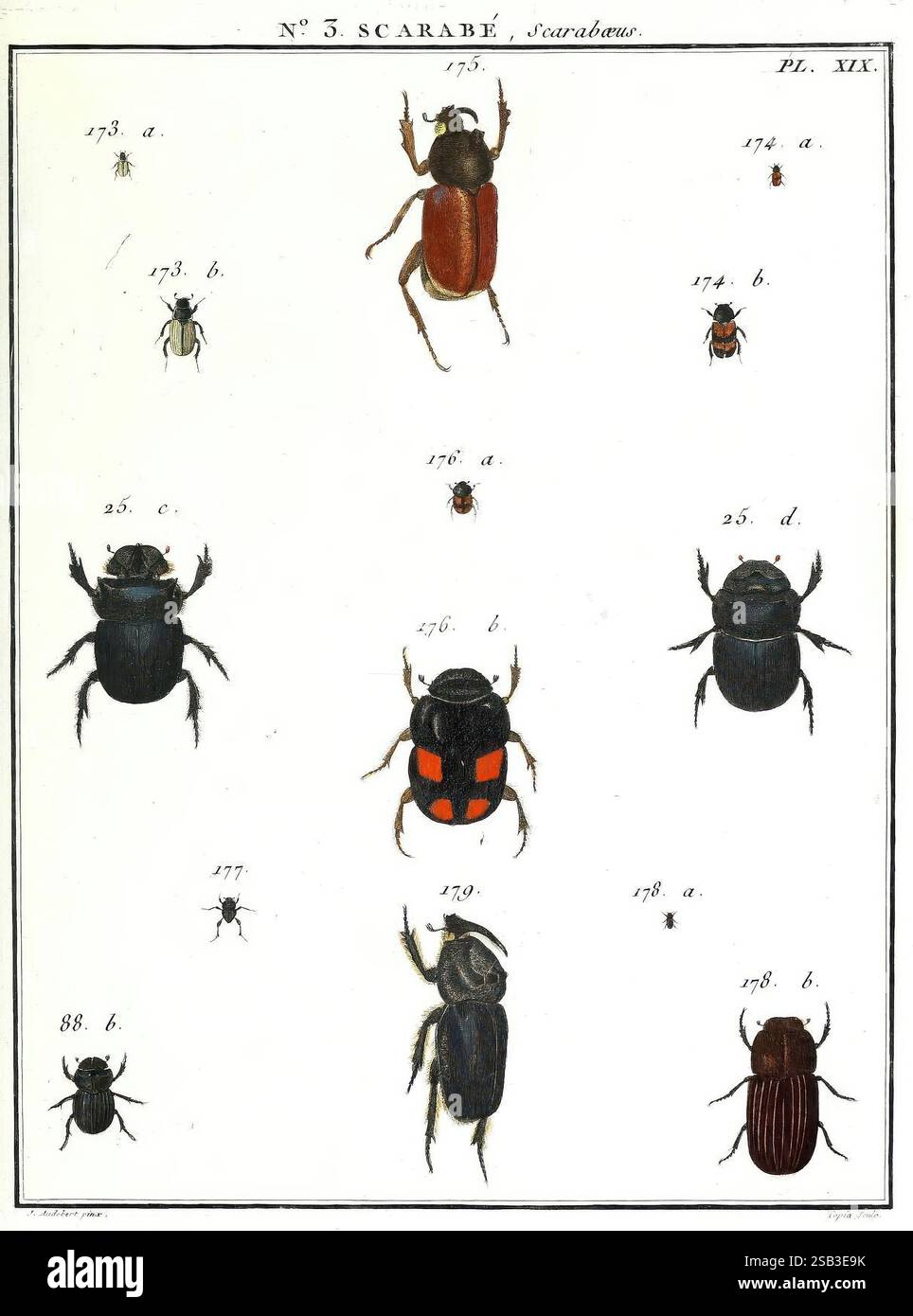 Importance of entomological research hi-res stock photography and ...
