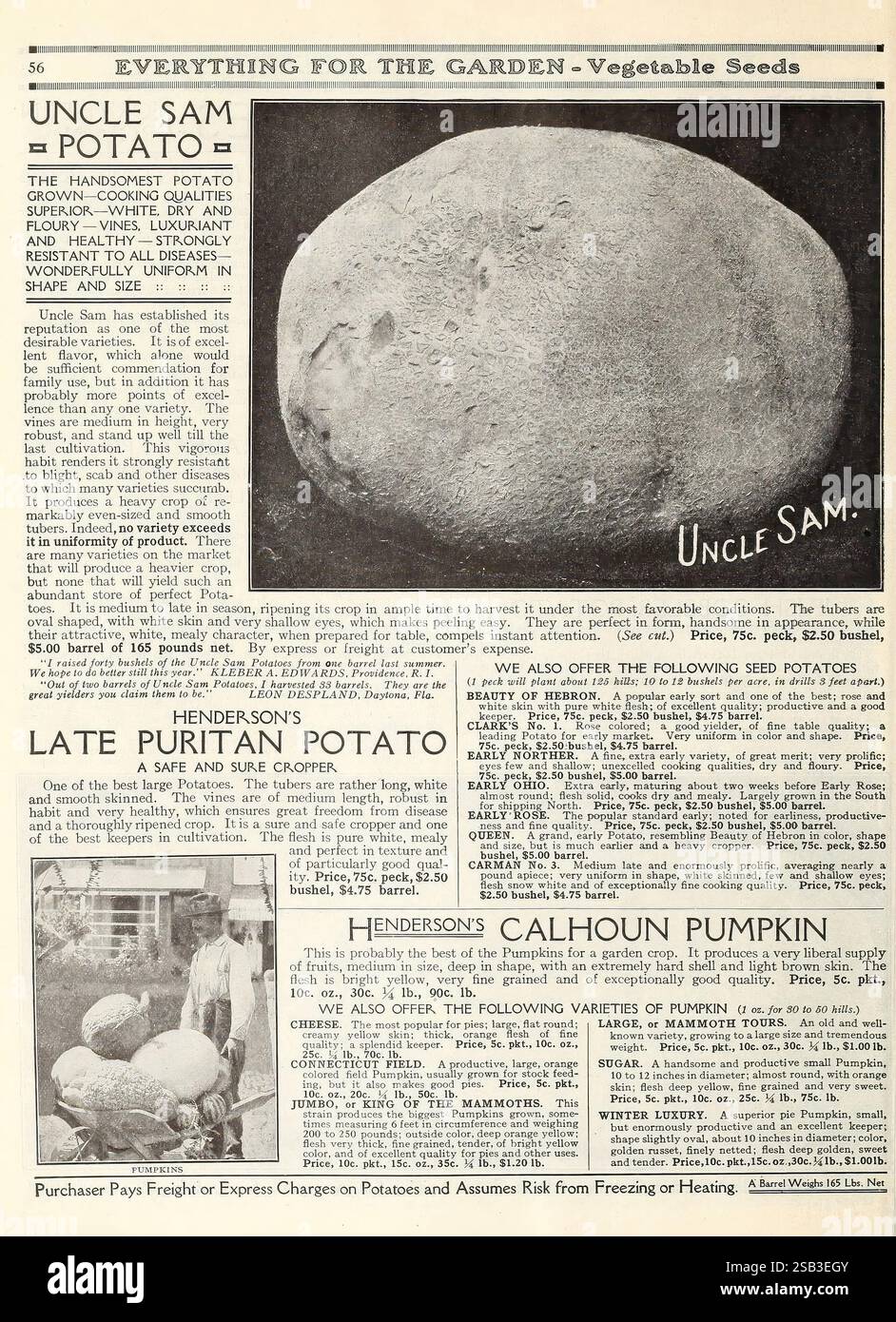 Uncle sam potato hi-res stock photography and images - Alamy