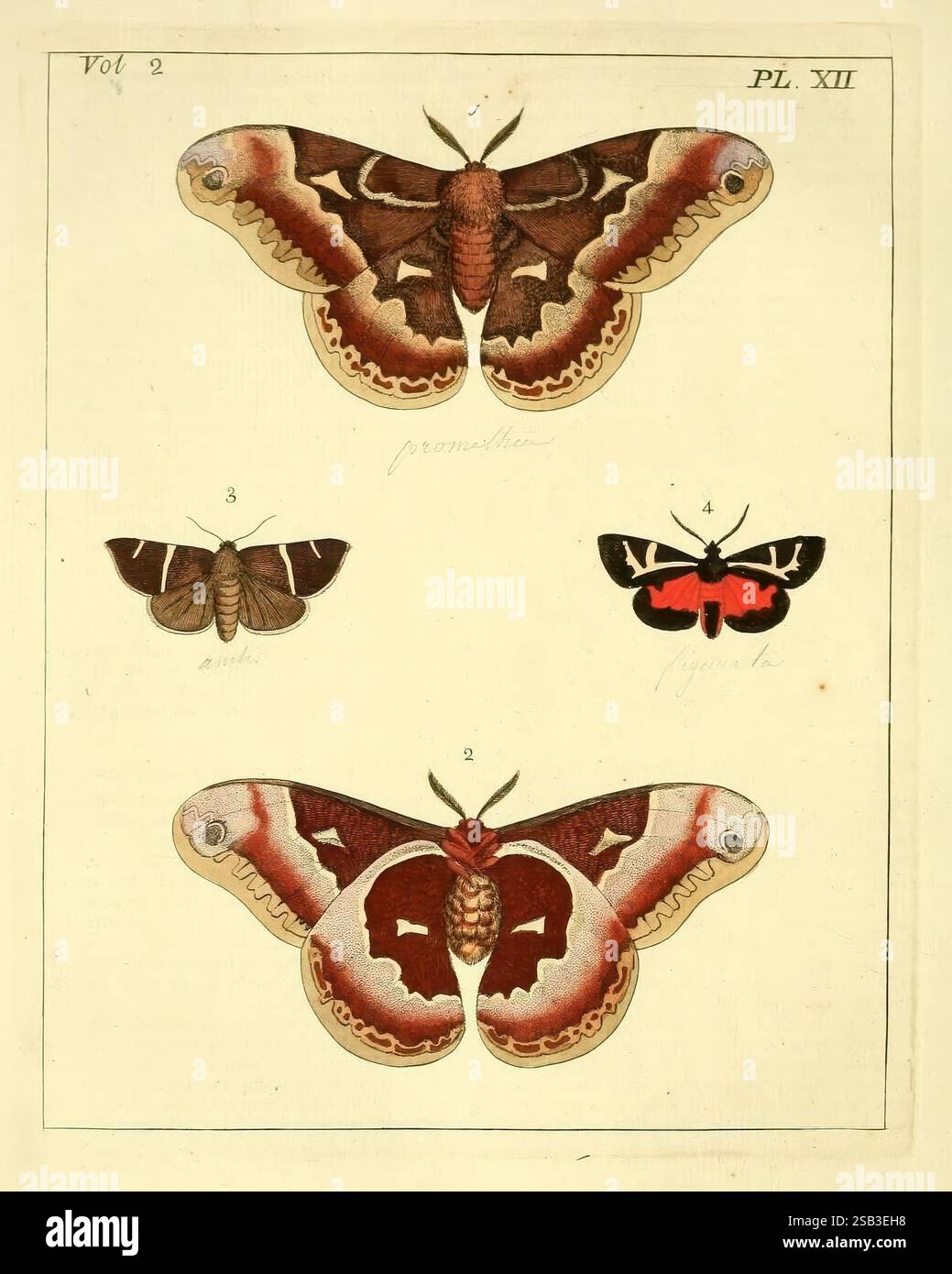 Darker butterfly stands hi-res stock photography and images - Alamy