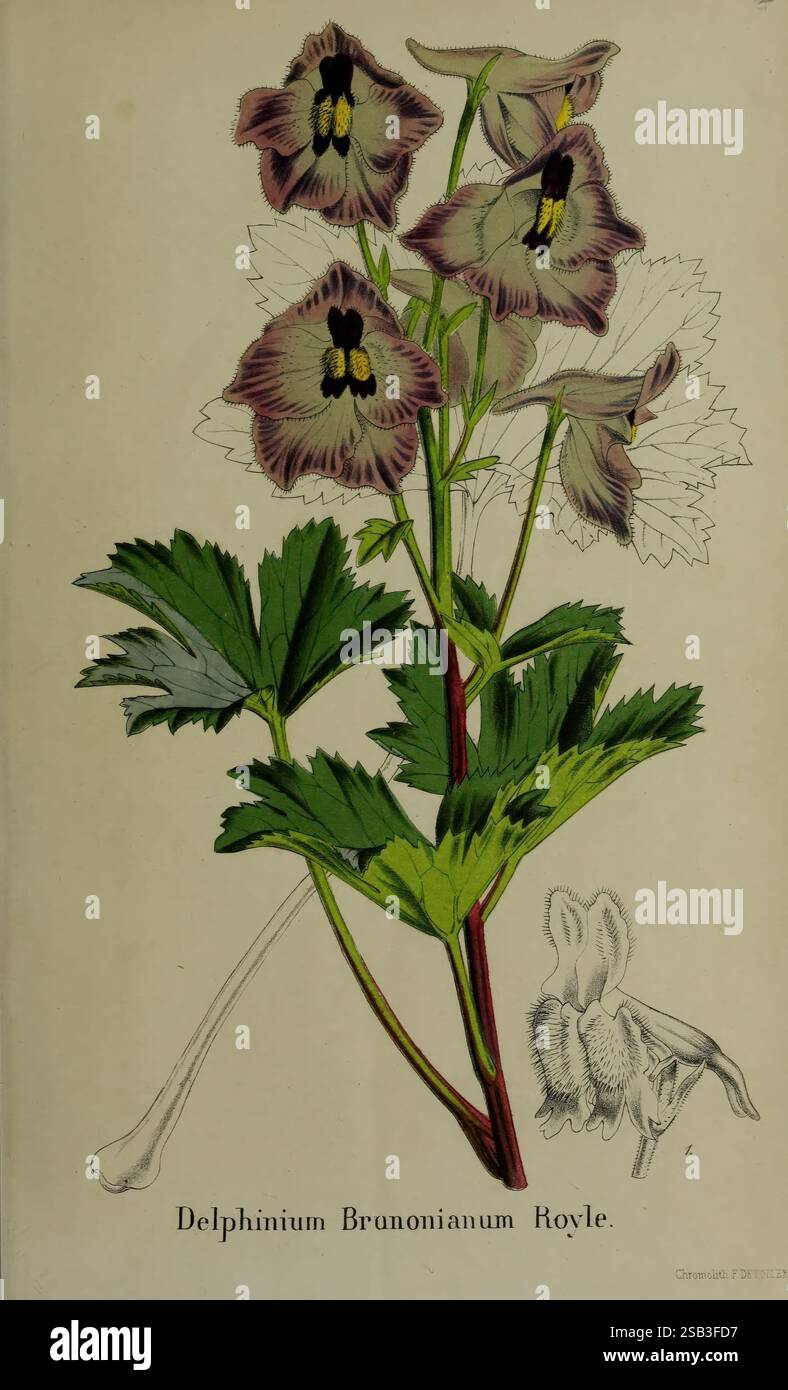 Small inset features hi-res stock photography and images - Alamy