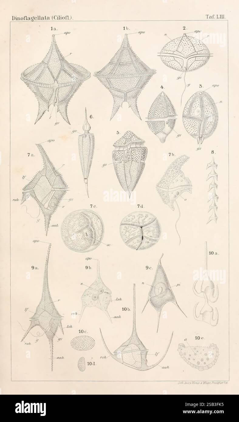 Inclusion of various perspectives hi-res stock photography and images ...