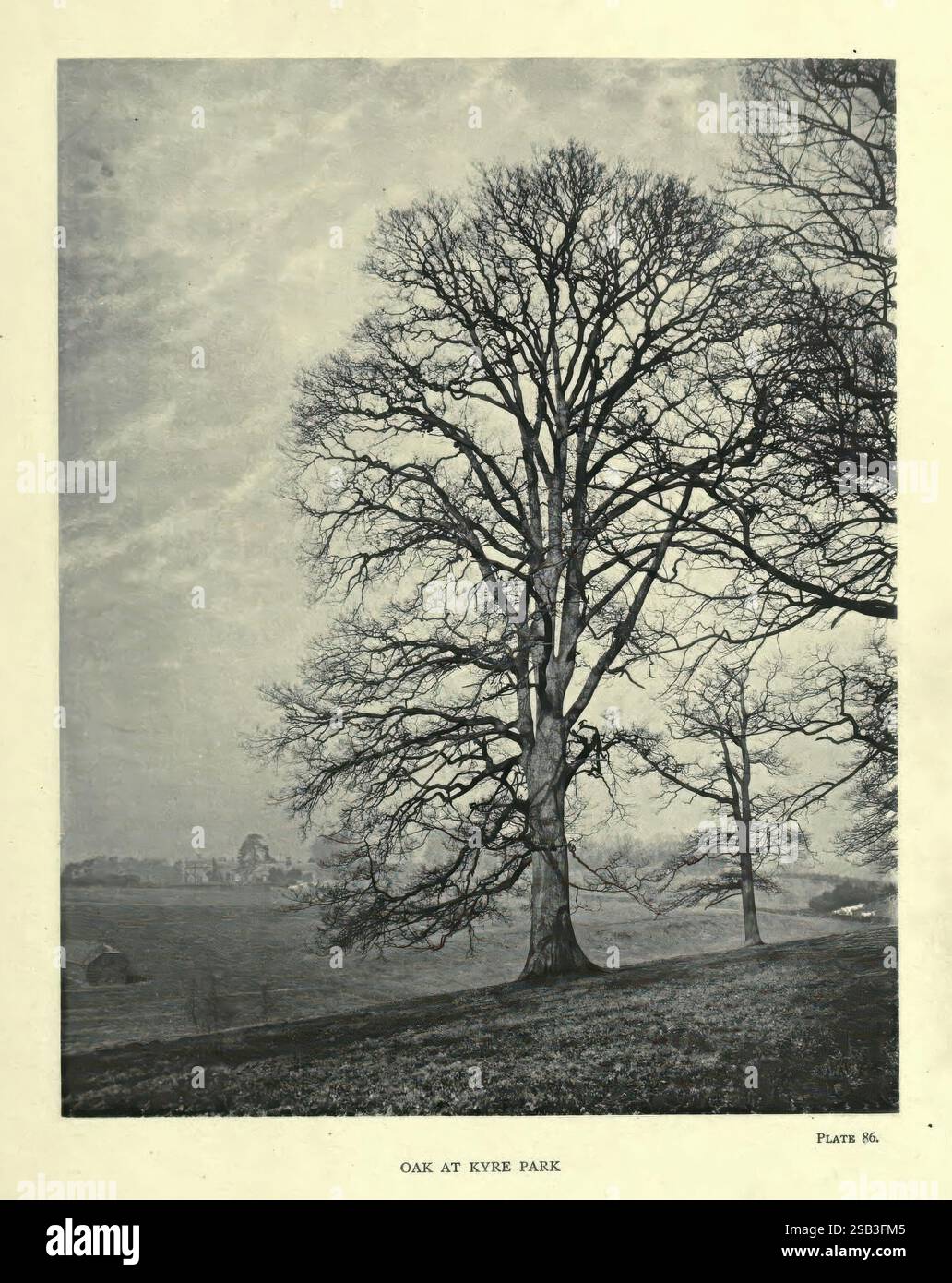 Soft hills stretching hi-res stock photography and images - Alamy