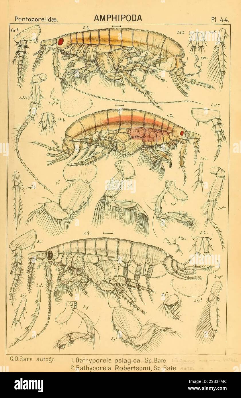 Annotations detail specific parts hi-res stock photography and images ...