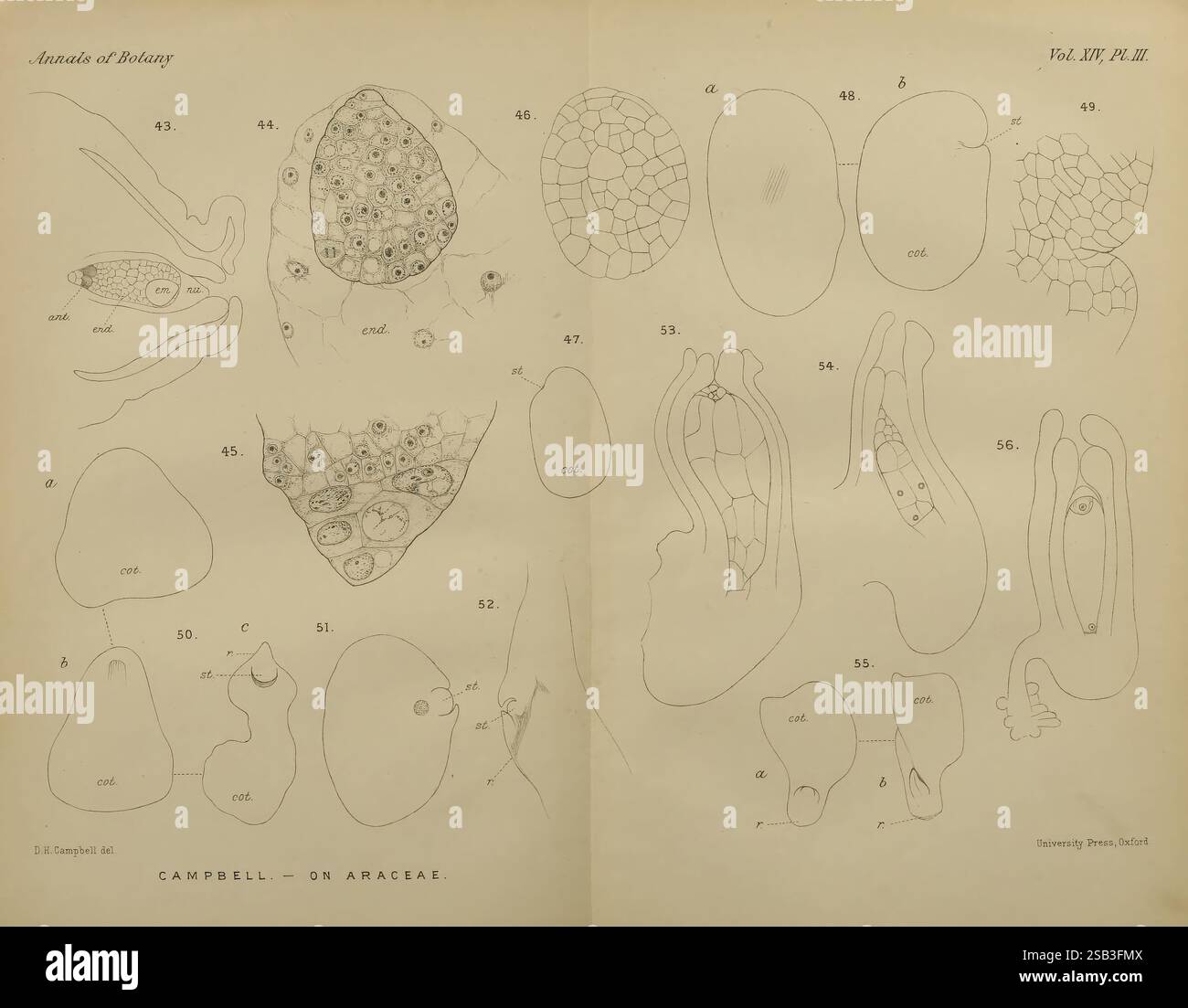 Showcasing detailed cross sections hi-res stock photography and images ...