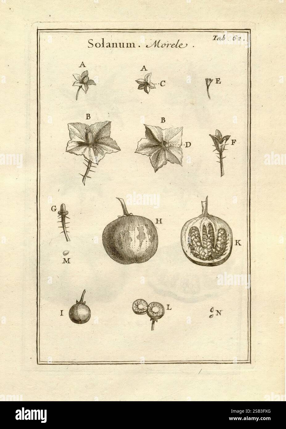 Joseph Pitton de Tournefort Institutiones rei herbariae Paris, E ...