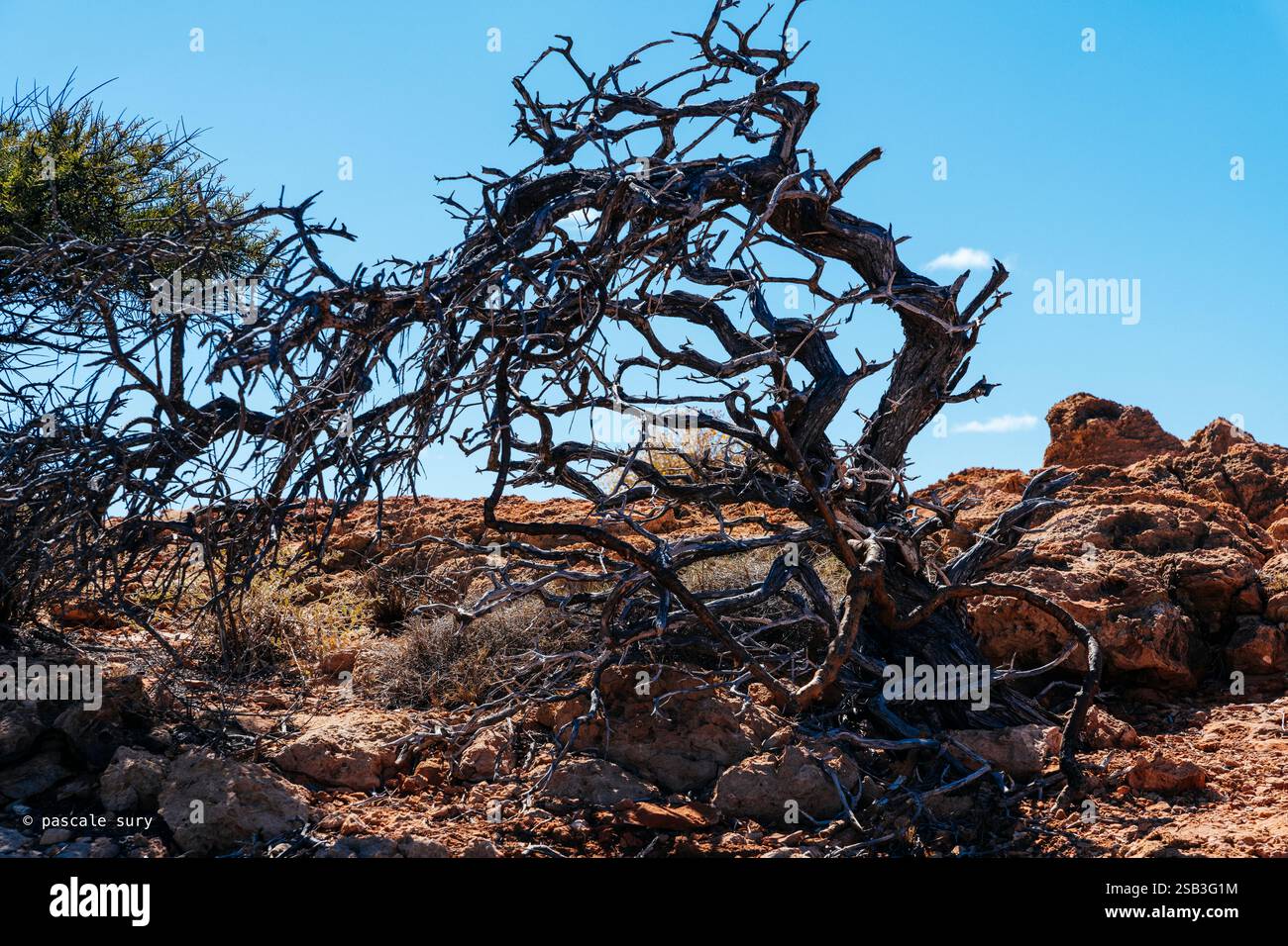 Australia - From West to East Stock Photo - Alamy