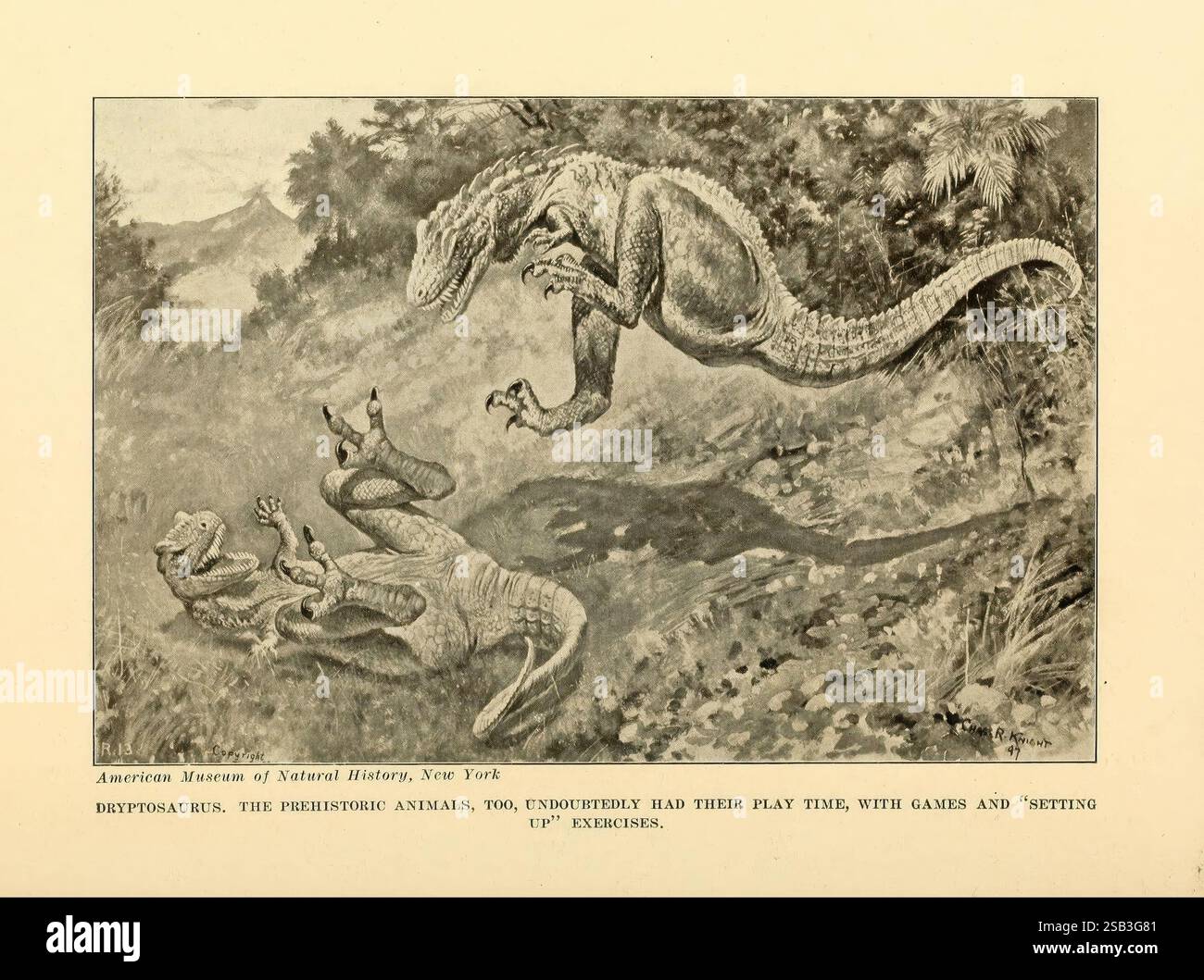 The human side of animals, New York, Frederick A. Stokes Company [c1918 ...