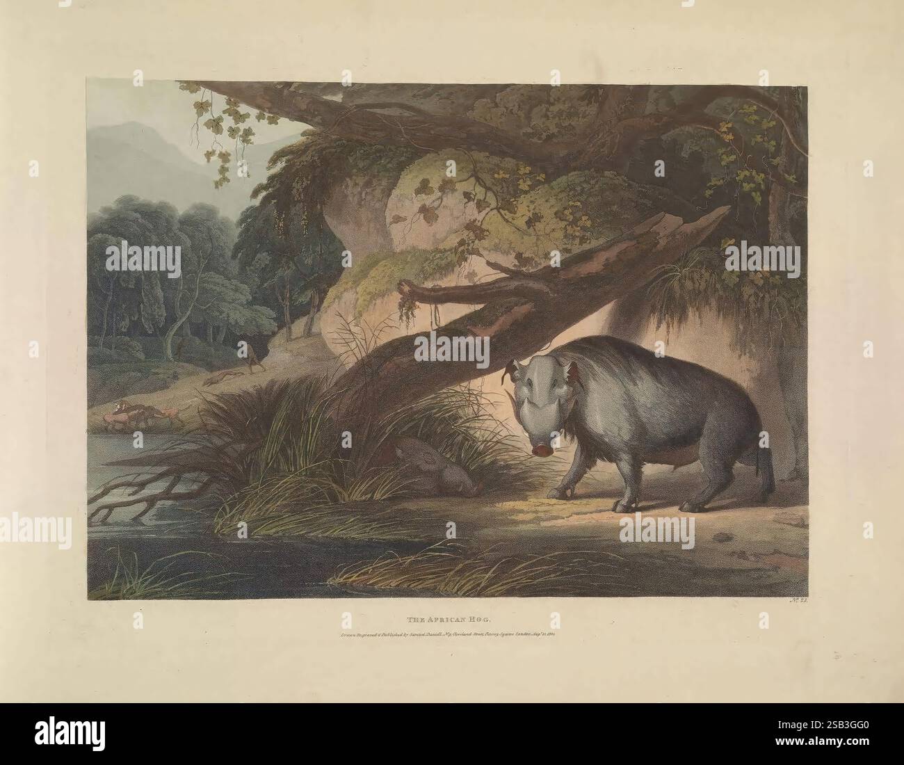 African scenery and animals London, 1804-05 Africa southern Natural ...