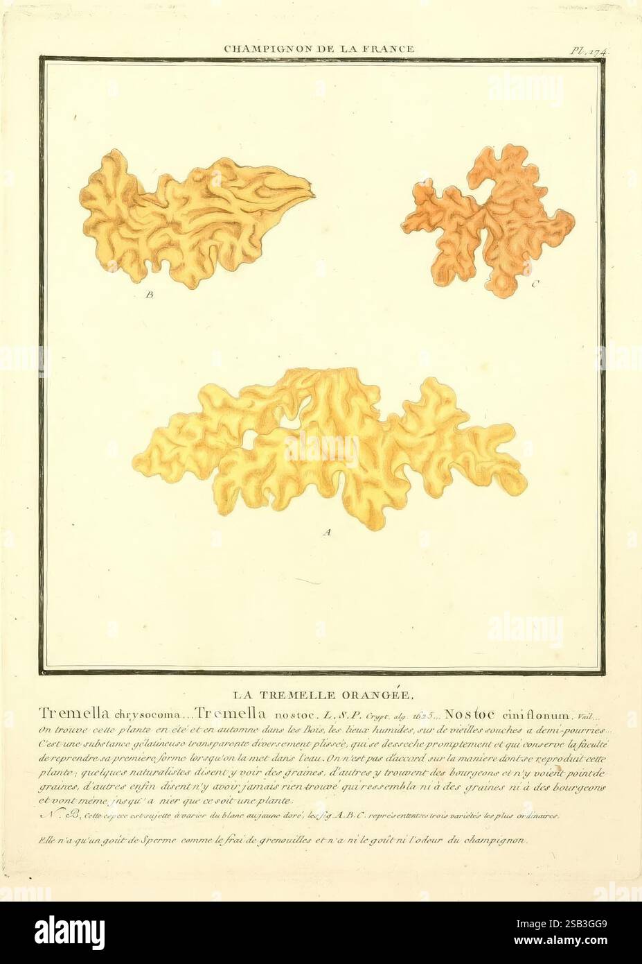 Herbier de la France, Paris, Chez l'auteur, Didot, Debure, Belin, 1780 ...