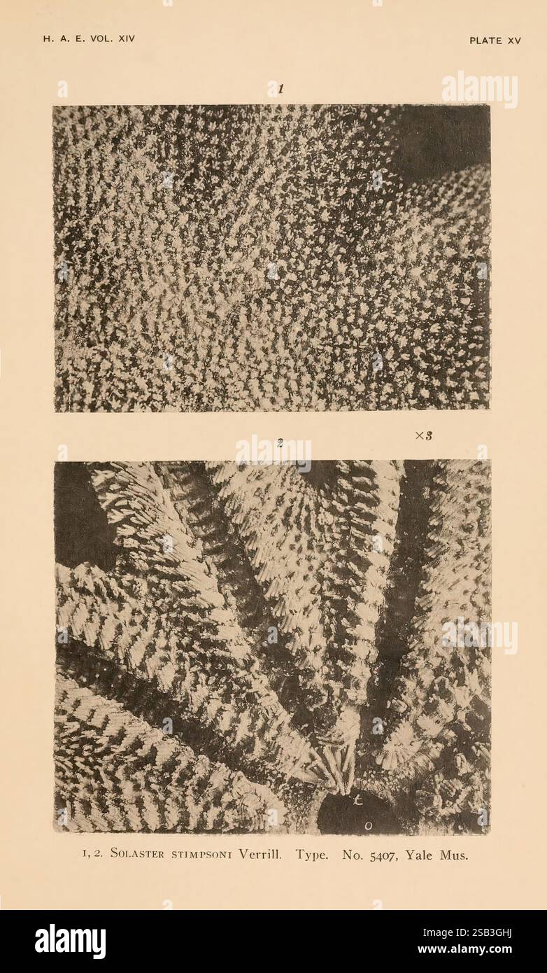 Harriman, Alaska, series, Washington, 1910-1914, Alaska, natural ...