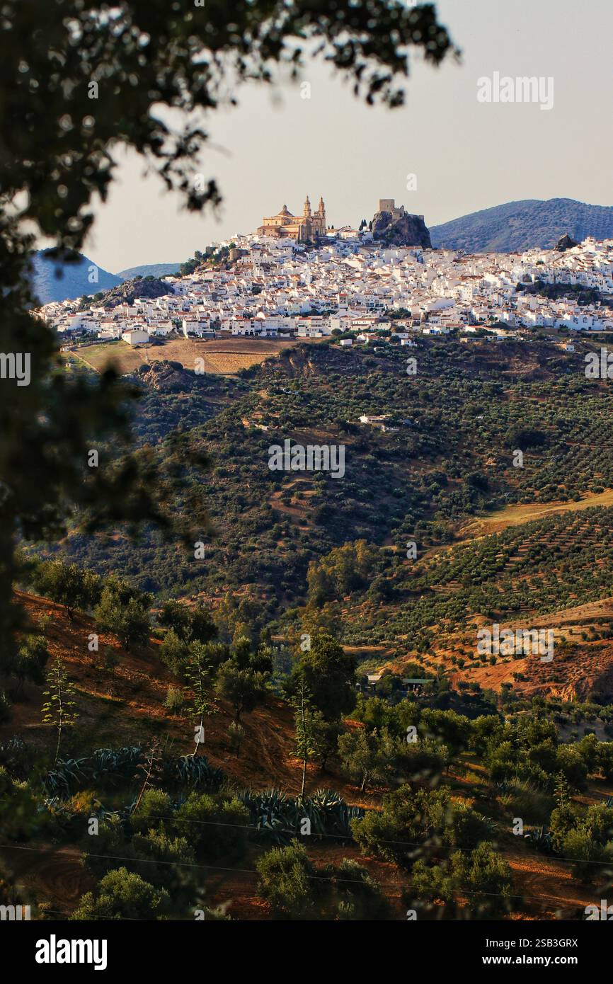 A scenic view of Olvera, Spain, featuring white-washed houses, a church ...