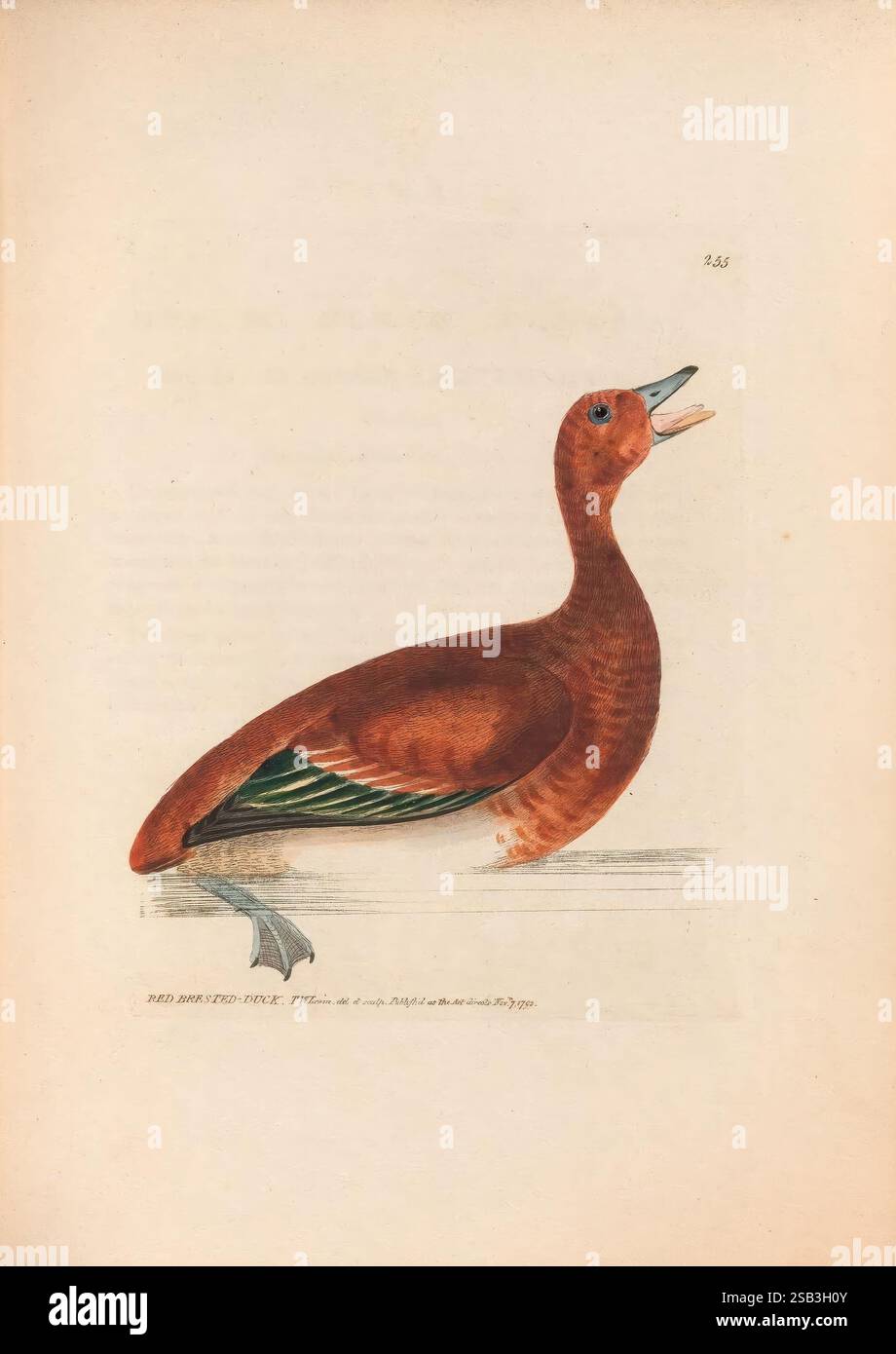 Sense of grounding hi-res stock photography and images - Alamy