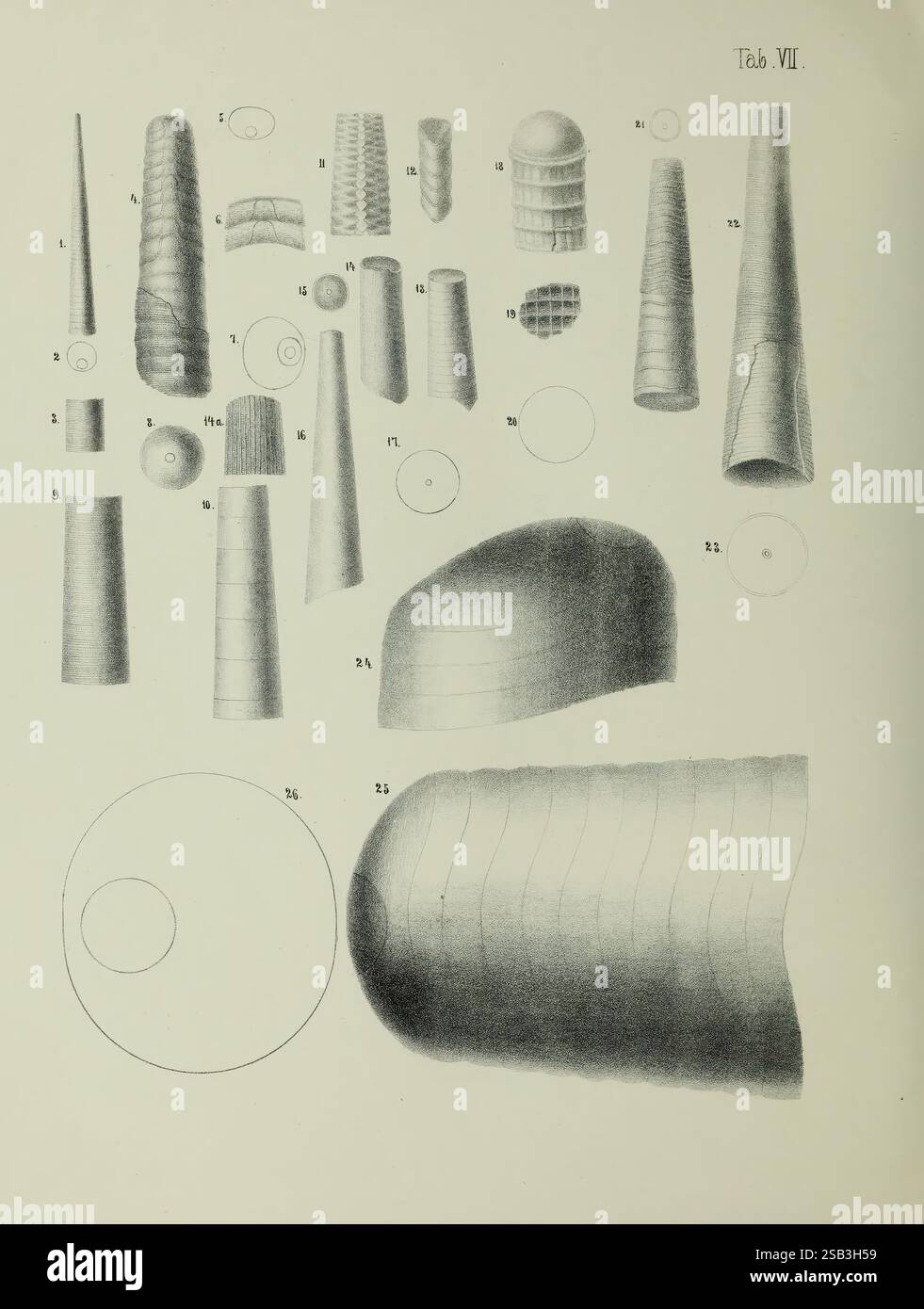 Series of varied cylindrical shapes hi-res stock photography and images ...