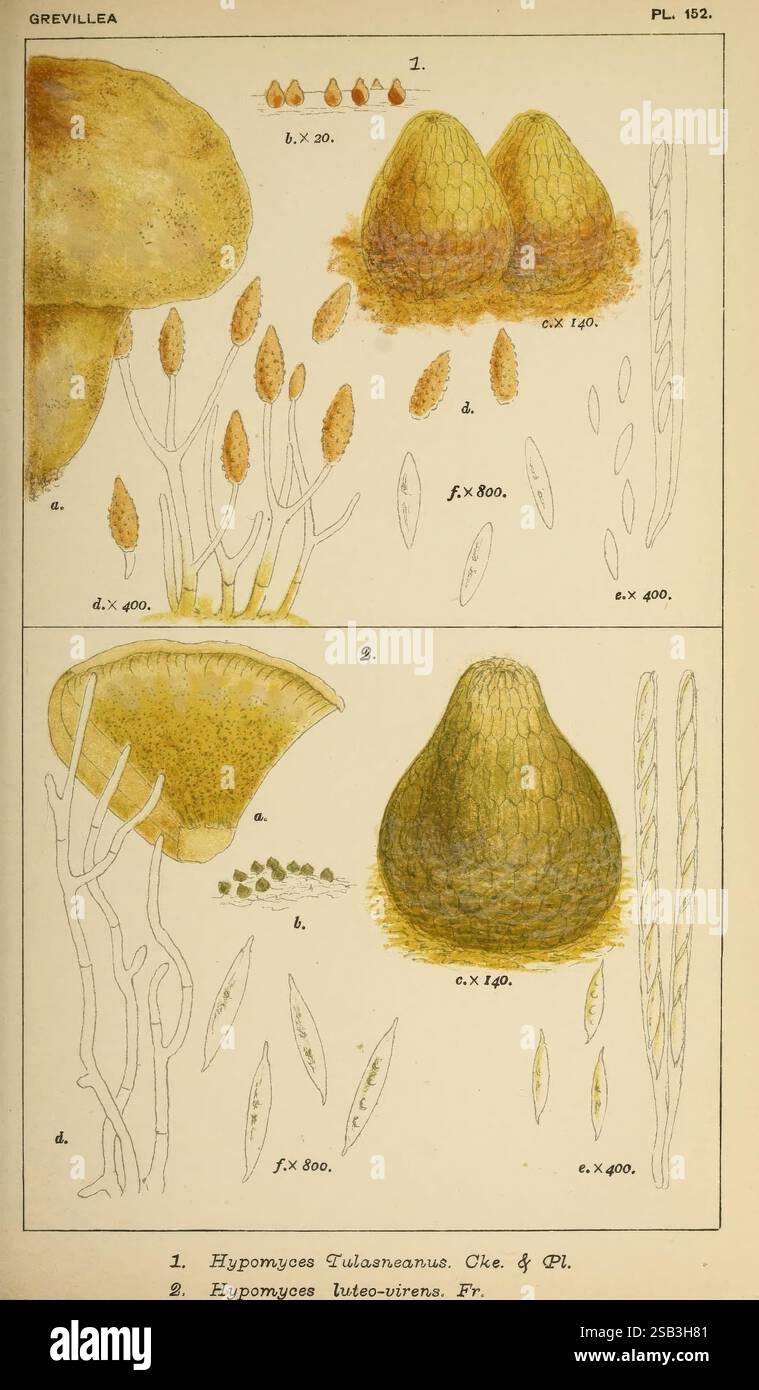 Top section displays various types hi-res stock photography and images ...