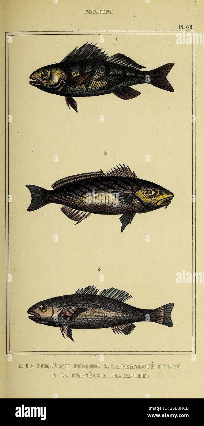 Oeuvres du comte de Lacépède Paris P. Duménil 1836 Natural history ...