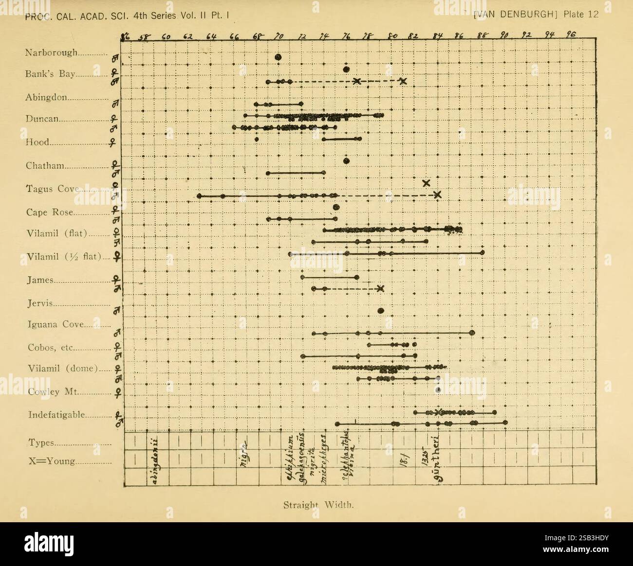 The, gigantic, land, tortoises, of, the, Galapagos, Archipelago, San ...