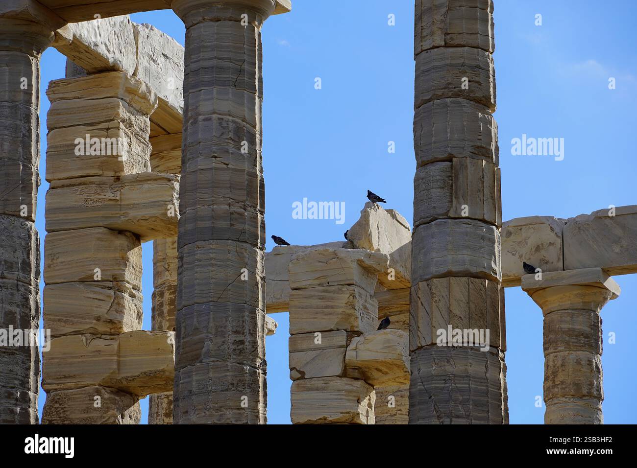 Birds on the columns of the temple of Poseidon, at Sounion, Attica ...