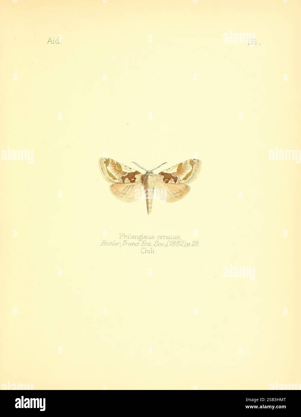 Reference details indicate hi-res stock photography and images - Alamy