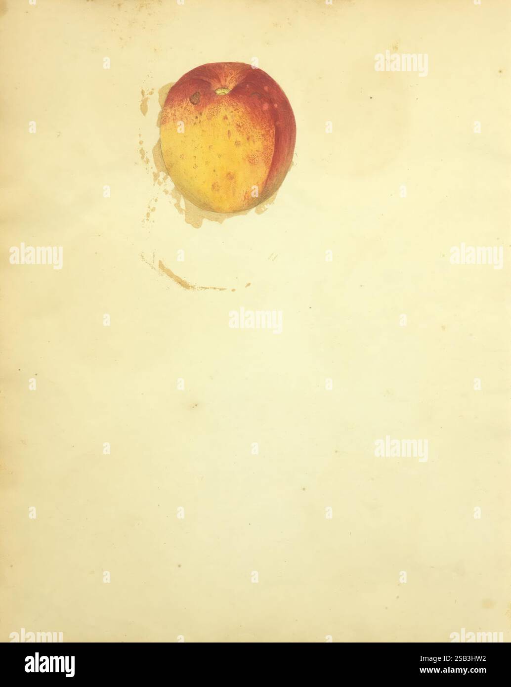 Indistinct smudges hi-res stock photography and images - Alamy