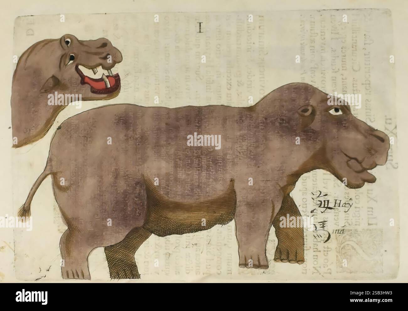 Faint script hi-res stock photography and images - Alamy