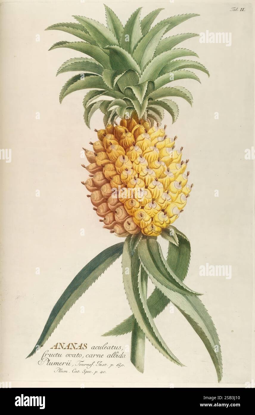 Plantae selectae quarum imagines ad exemplaria naturalia Londini, in ...