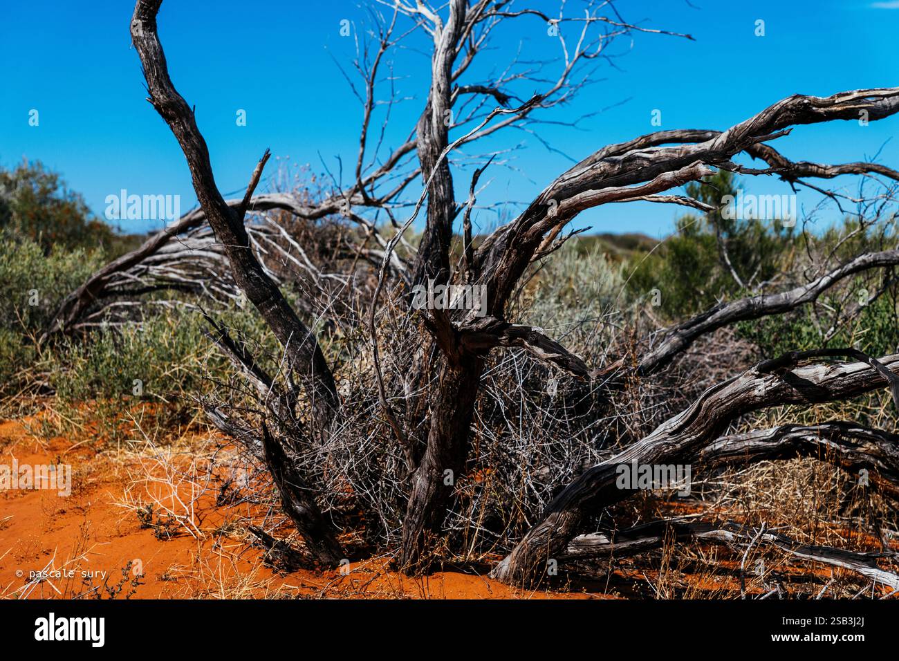 Australia - From West to East Stock Photo - Alamy