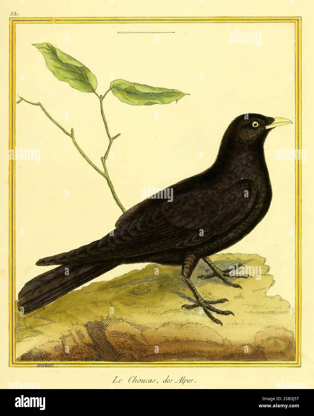 Birds form highlight hi-res stock photography and images - Alamy