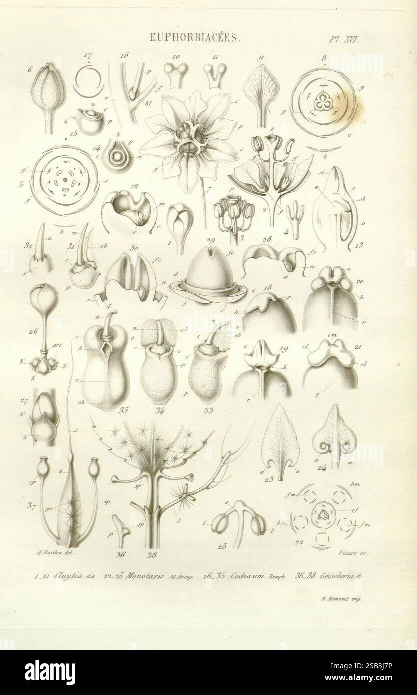 Includes unique forms hi-res stock photography and images - Alamy