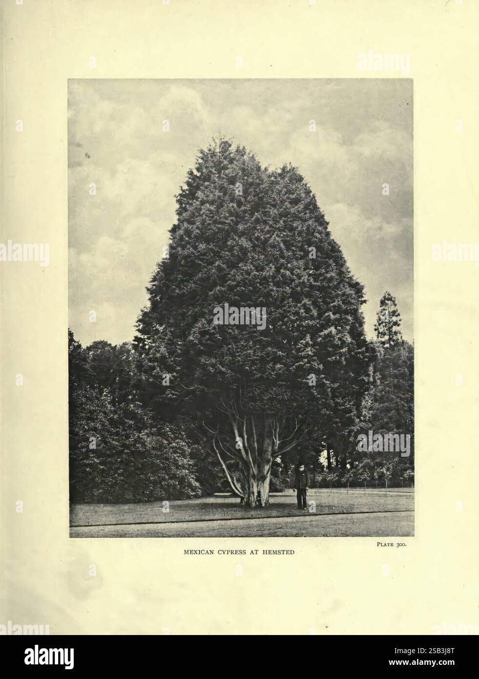 Towering figure prominently hi-res stock photography and images - Alamy