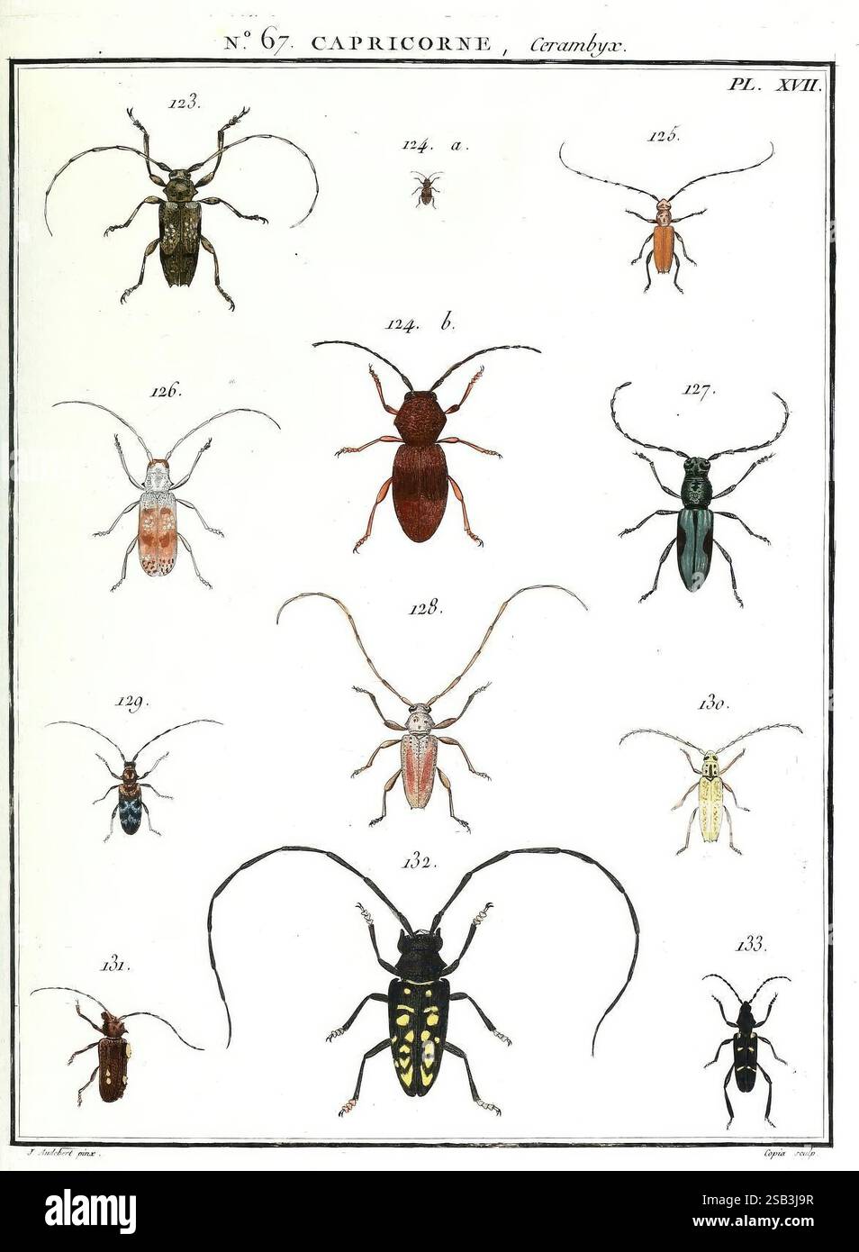 Entomologie ou Histoire naturelle des insectes, Paris, Imp. Baudouin ...