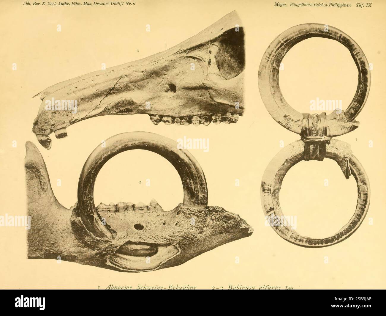 Two circular artifacts hi-res stock photography and images - Alamy