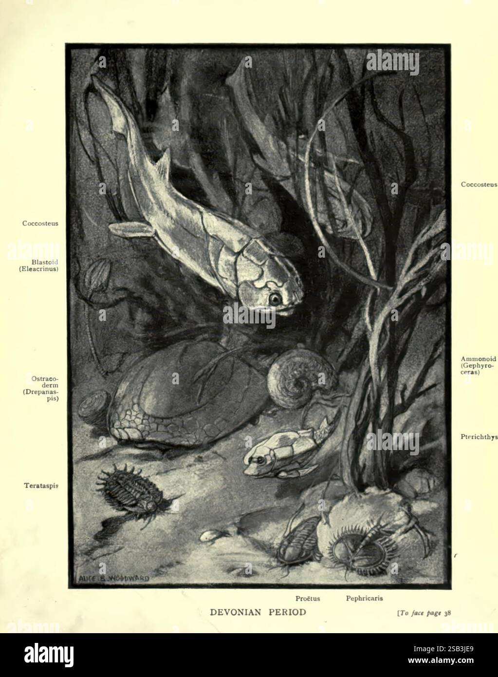 Evolution in the past London Herbert and Daniel 1912 Evolution ...