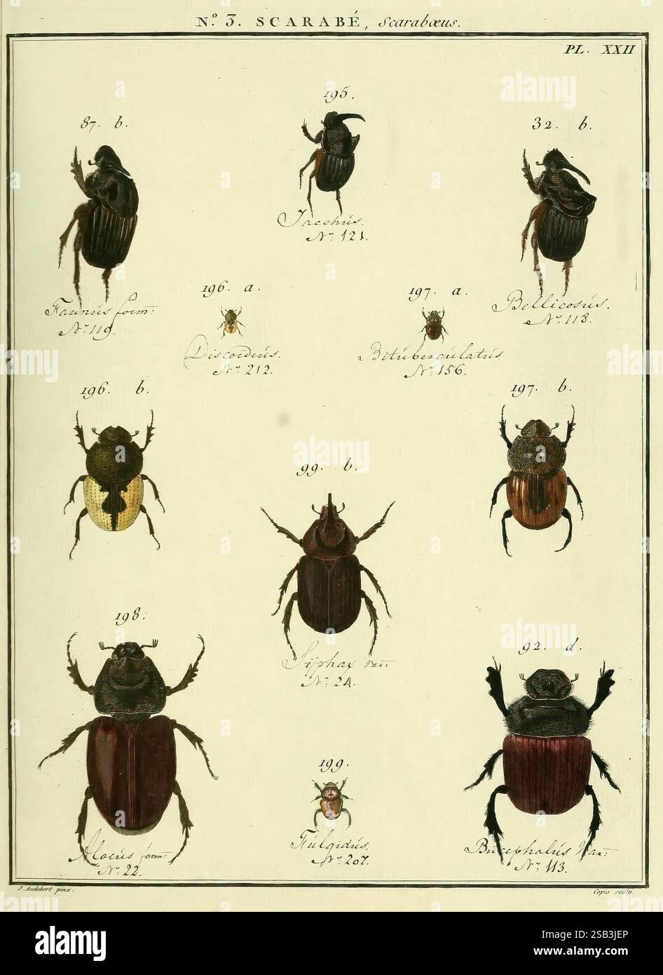 Entomologie, ou, Histoire naturelle des insectes, A Paris, De l ...