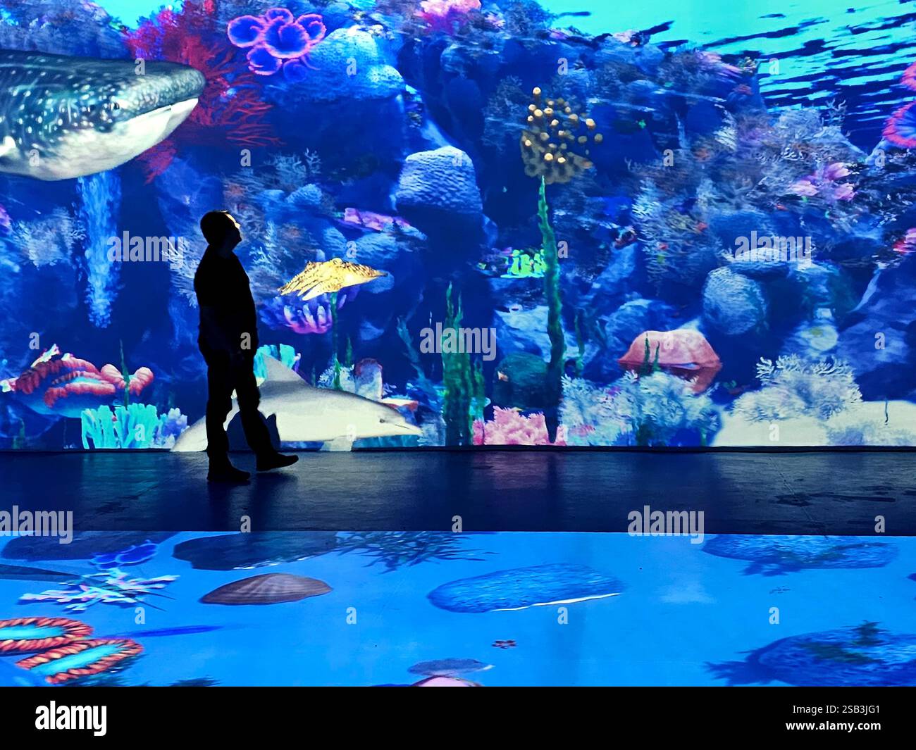 Mexico City, Mexico - Feb 28 2024: Inside the Barco Utopia in ...