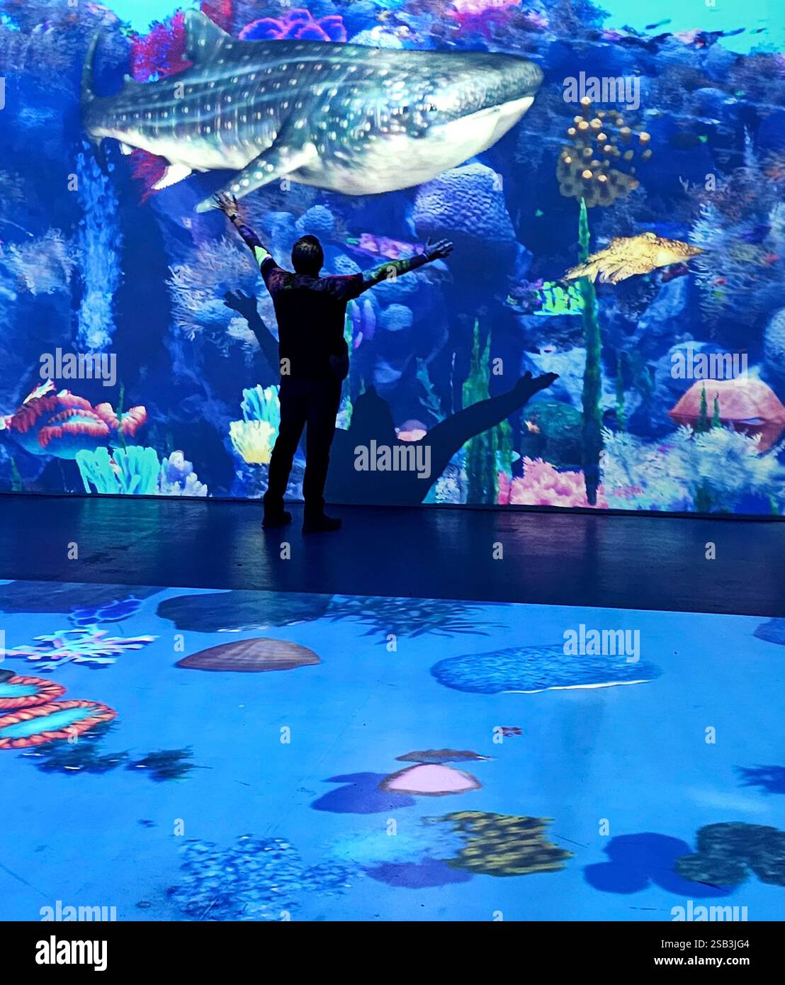 Mexico City, Mexico - Feb 28 2024: Inside the Barco Utopia in ...