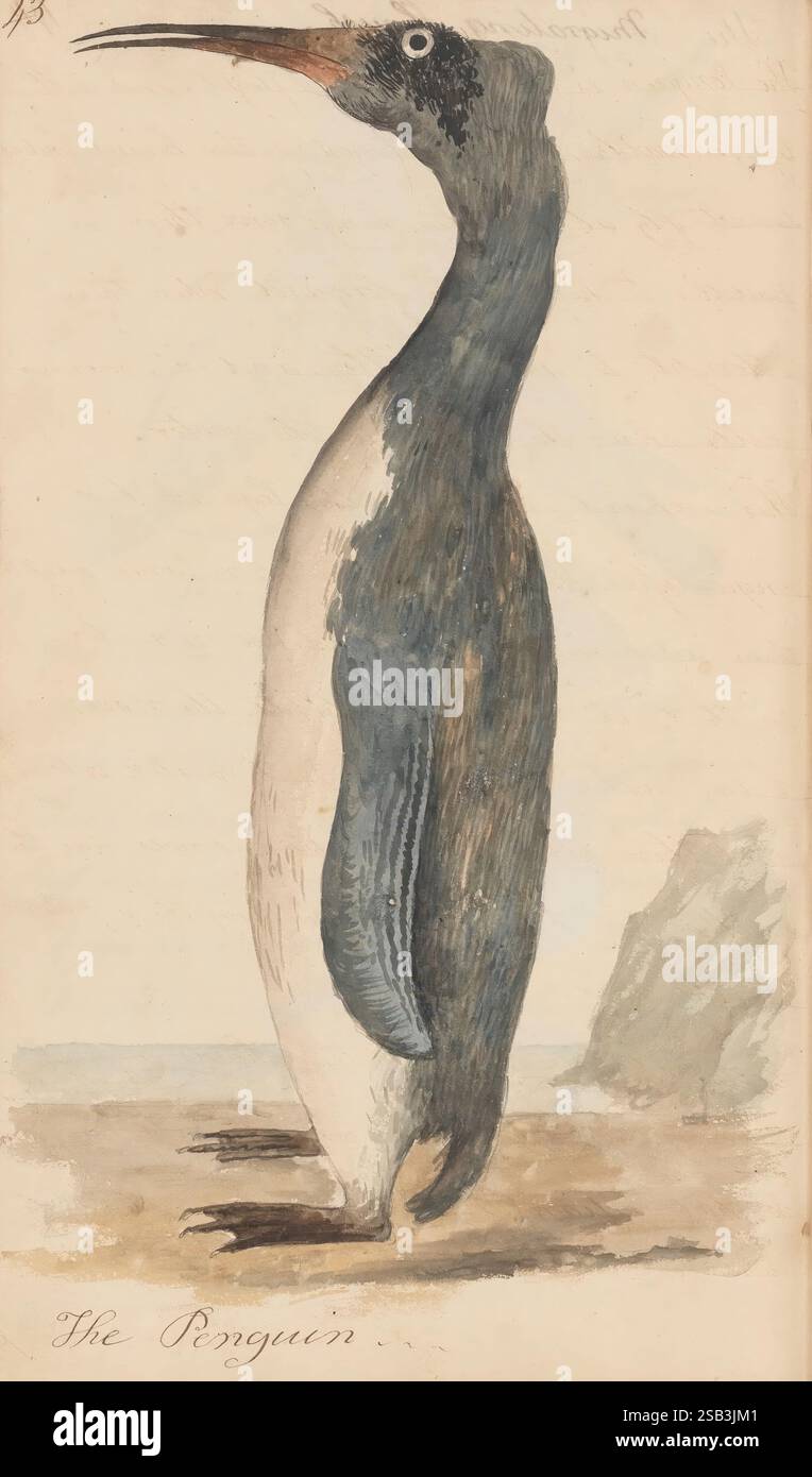 Distinctive upright posture hi-res stock photography and images - Alamy