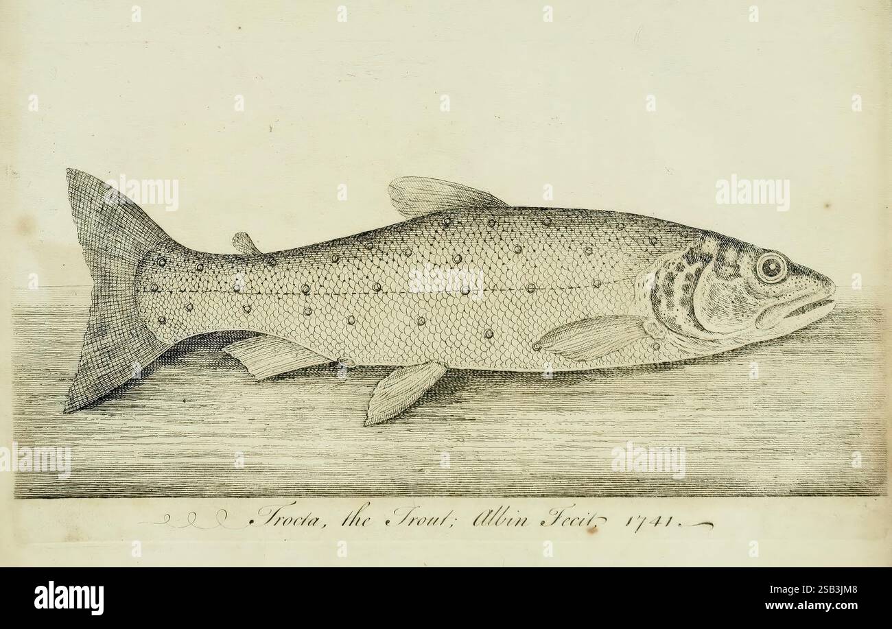 The history of esculent fish, London, Printed for Edward Jeffery ...