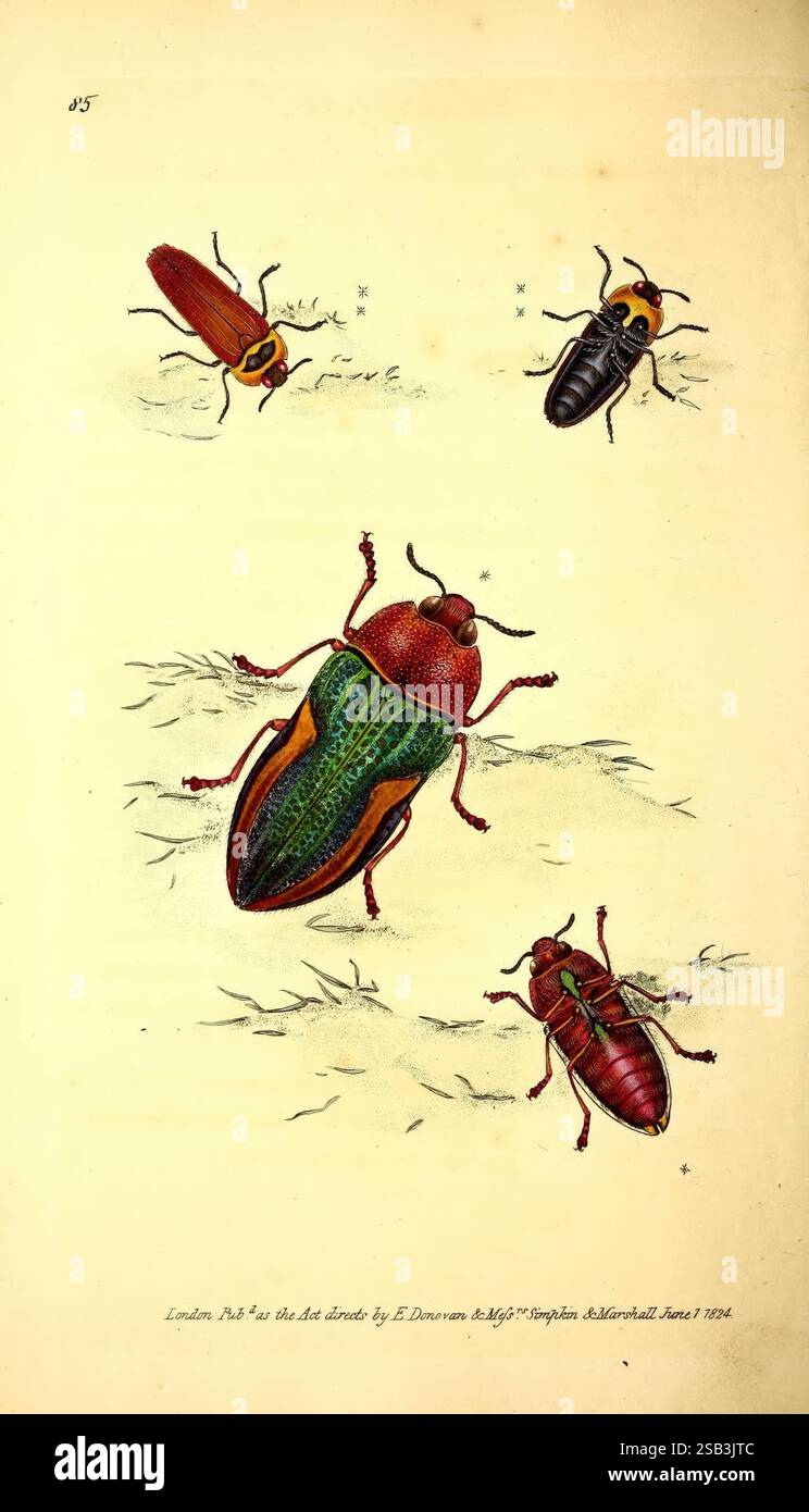 Glossy black body displays hi-res stock photography and images - Alamy