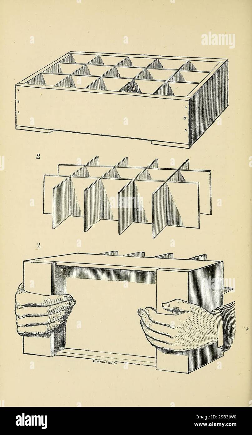 The Amateur's Flower Garden, London, Groombridge & Sons, 1875. Flower ...