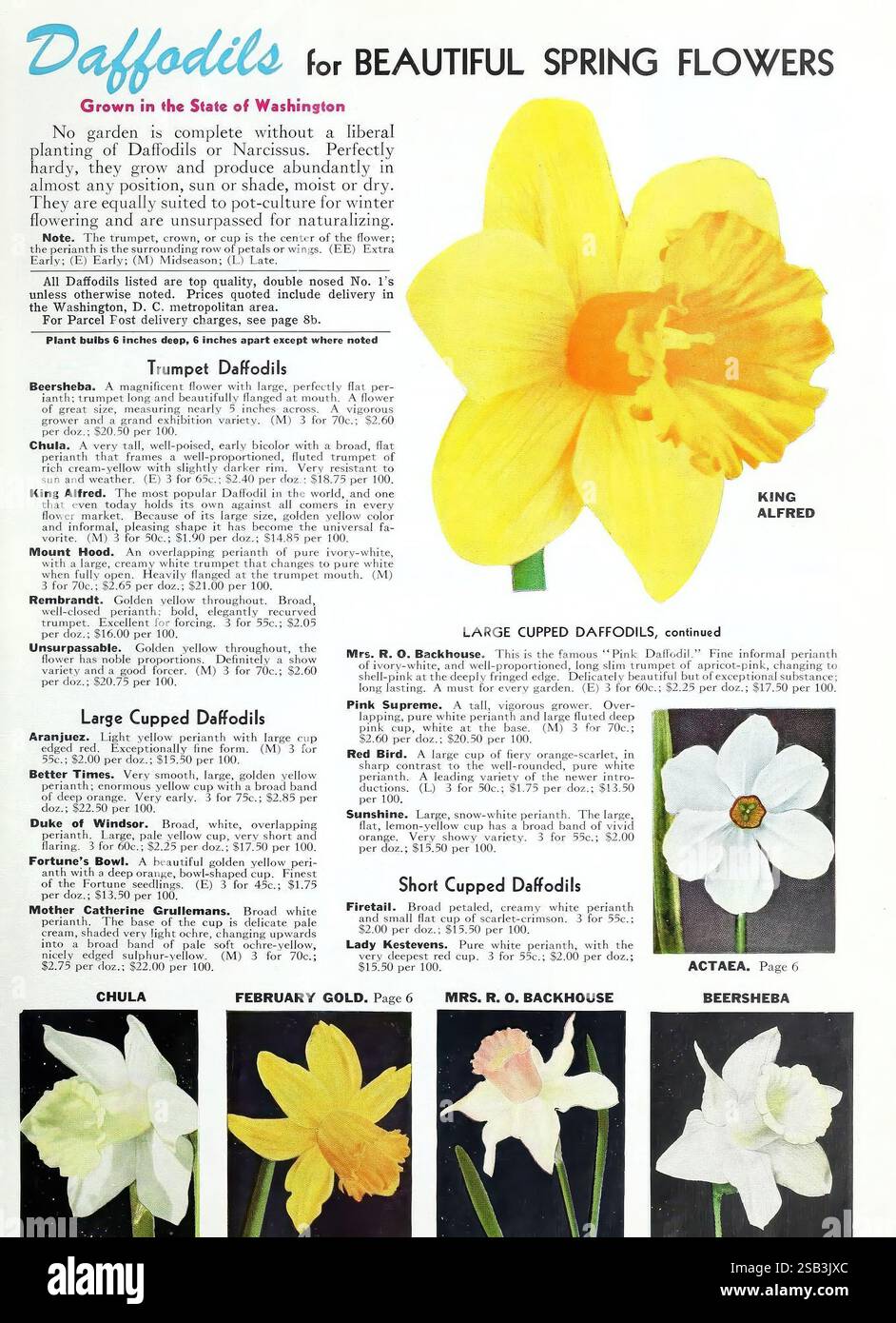 Vintage botanical advertisement promoting hi-res stock photography and ...