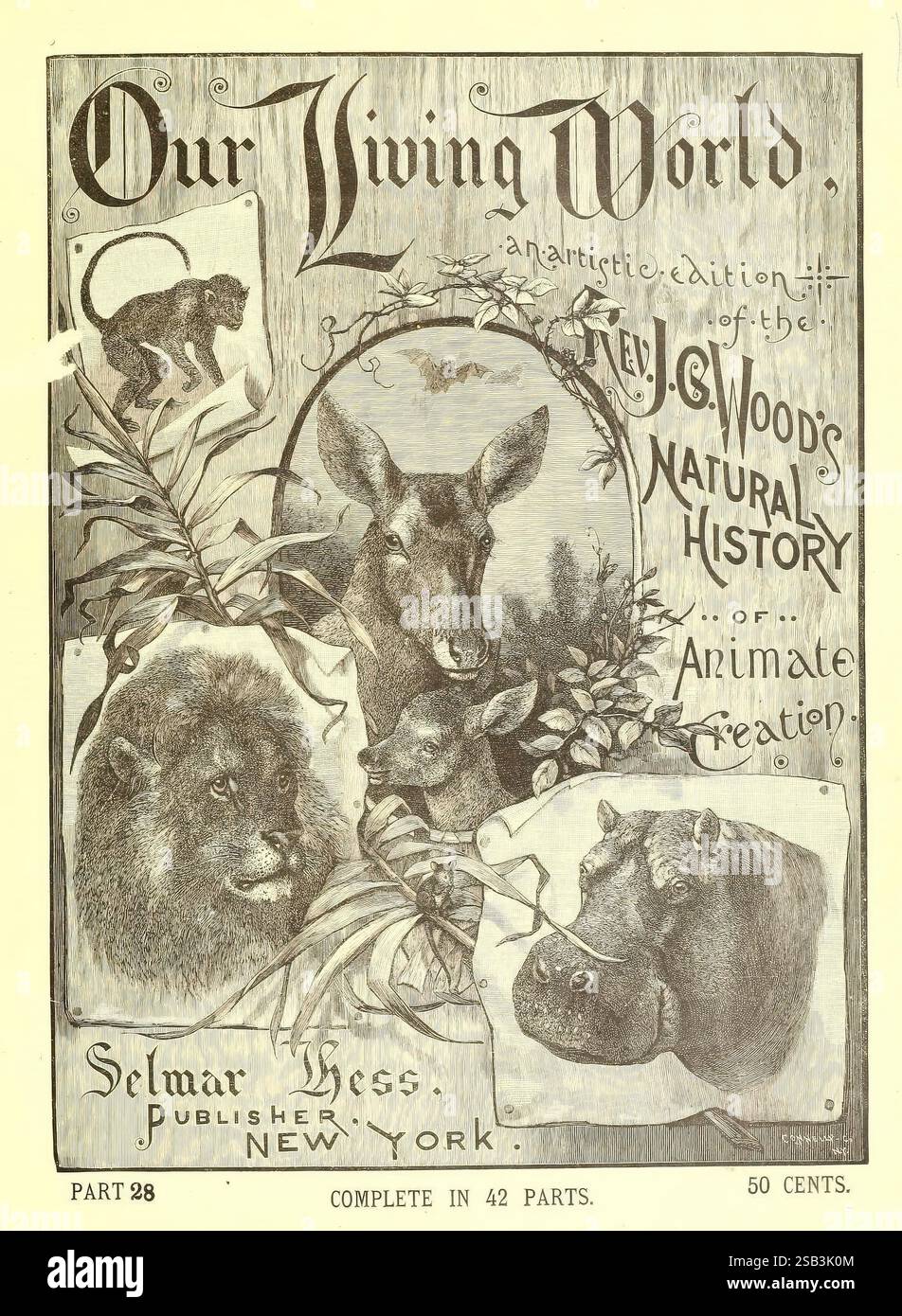 Hess 1885 pictorial hi-res stock photography and images - Alamy