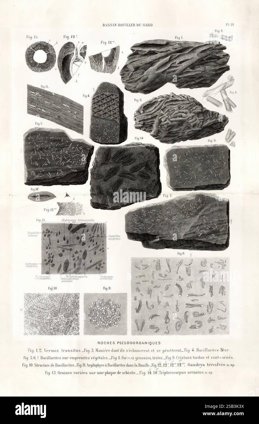 Labeled section highlights unique rock formations hi-res stock ...