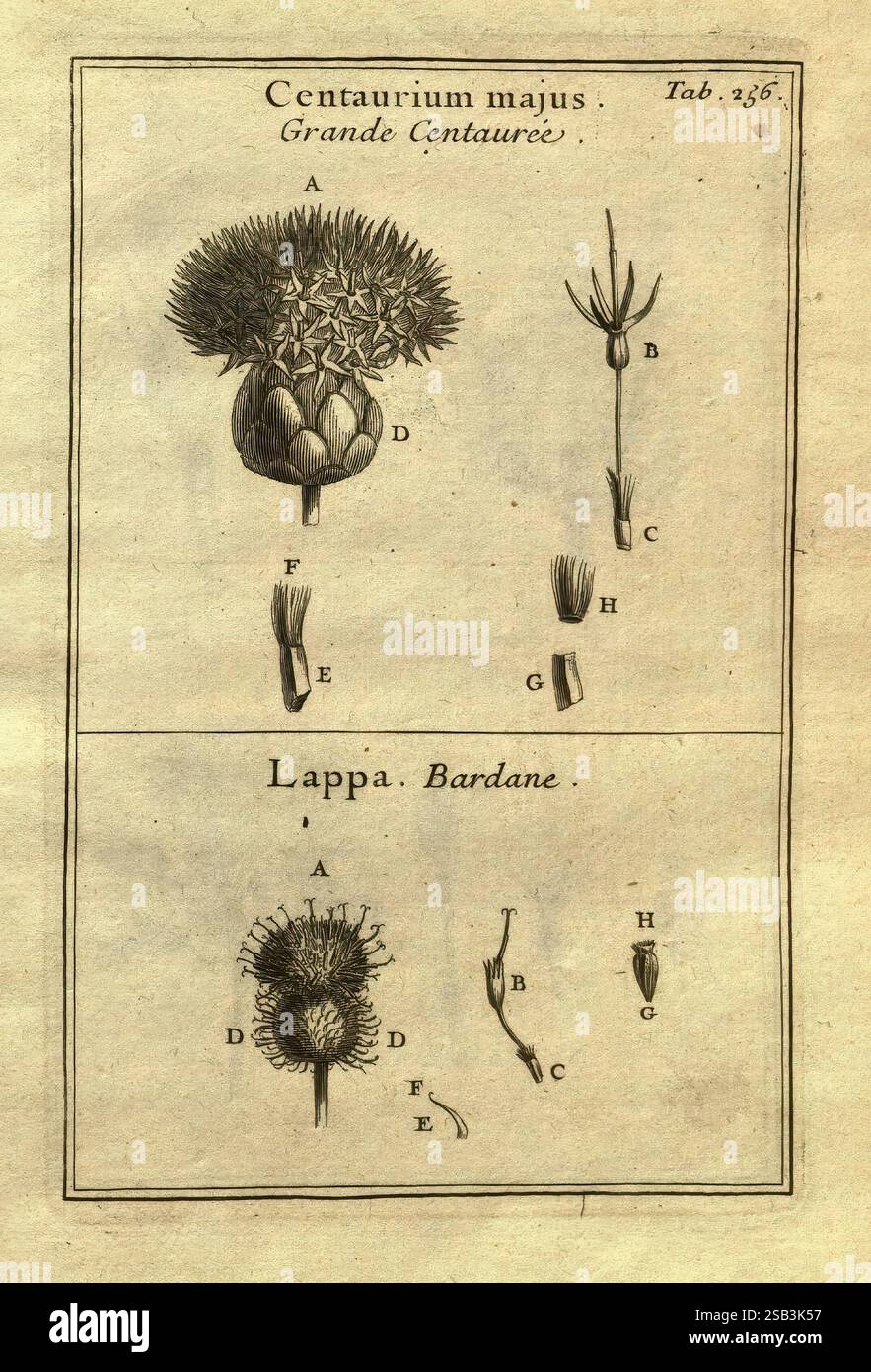 Alphabetic labels hi-res stock photography and images - Alamy