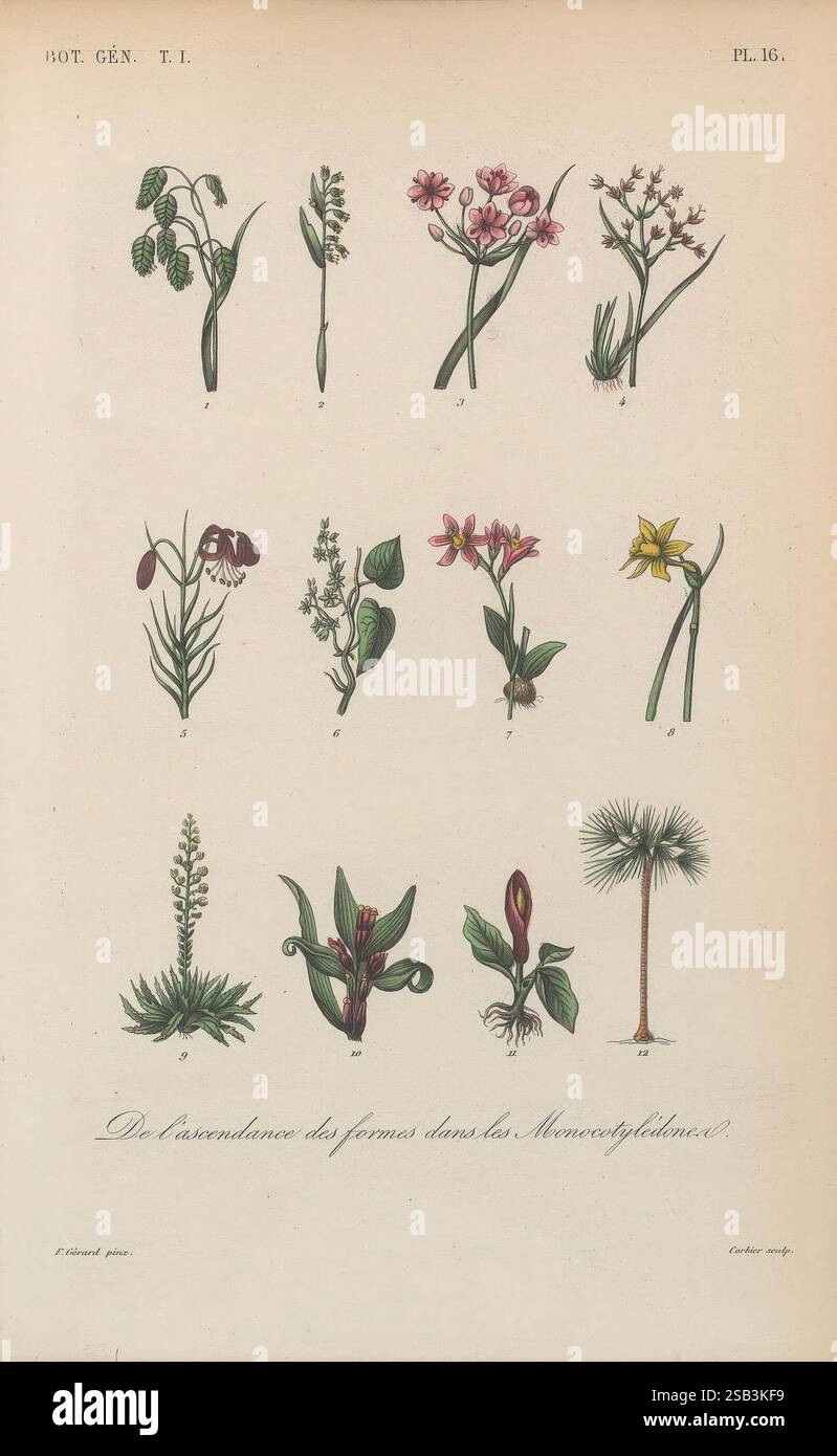 Final row depicts hi-res stock photography and images - Alamy