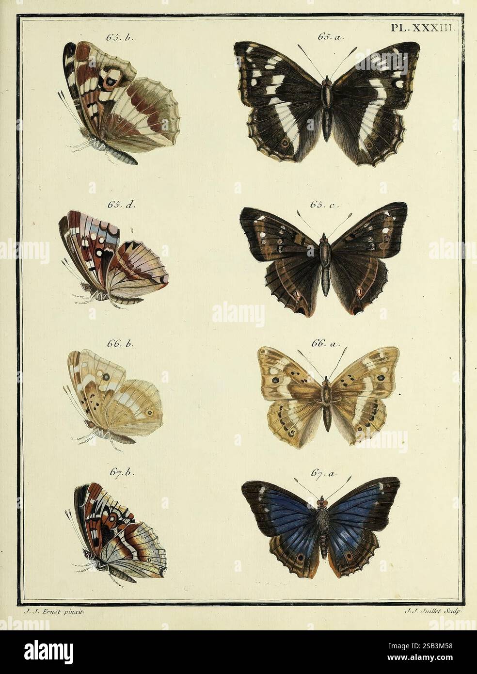 Papillons d'Europe, peints d'après nature, A Paris, Chez P.M ...
