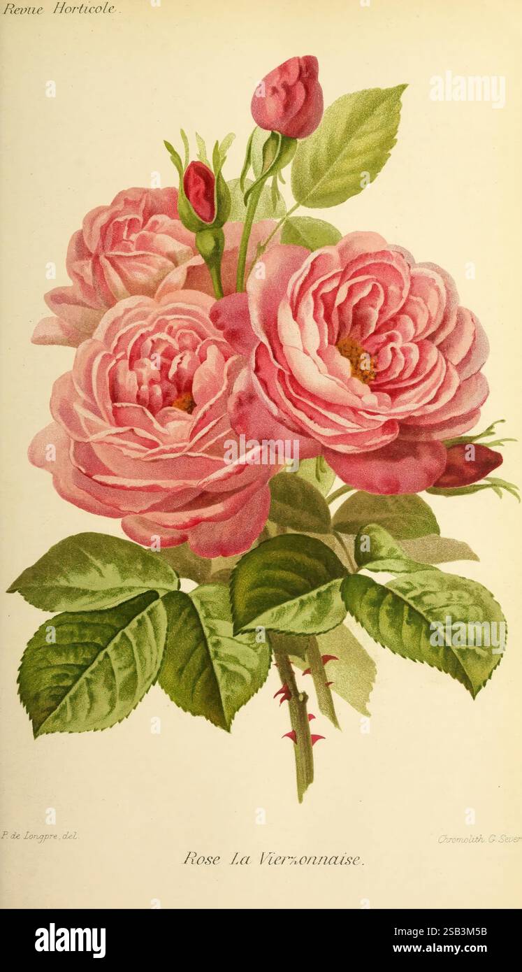 Revue horticole Paris Librairie agricole de la maison rustique 1829 ...