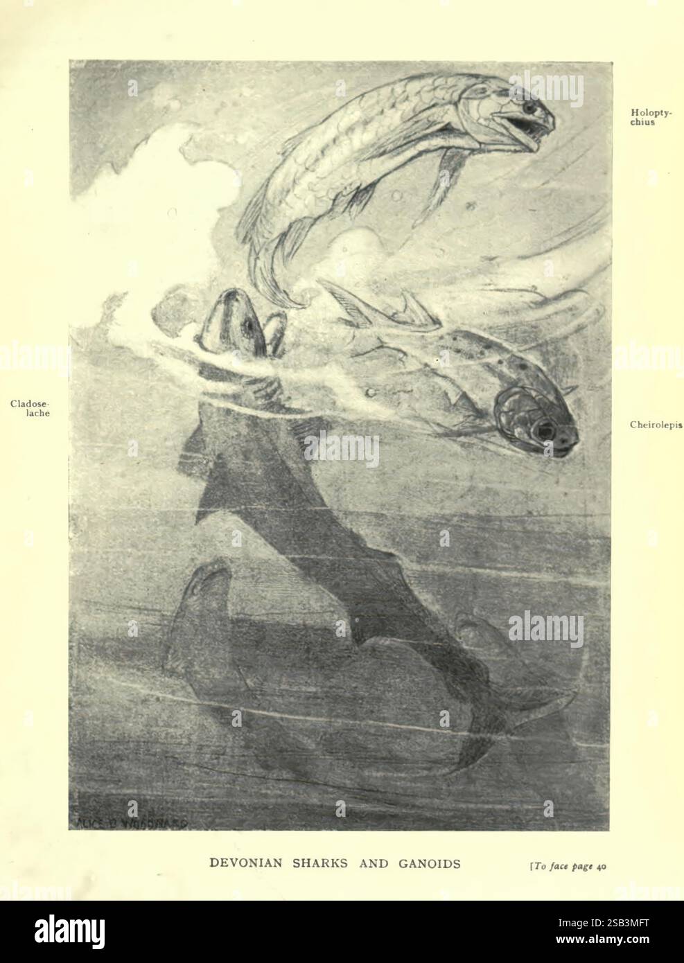 Evolution in the past, London, Herbert and Daniel, 1912, evolution ...