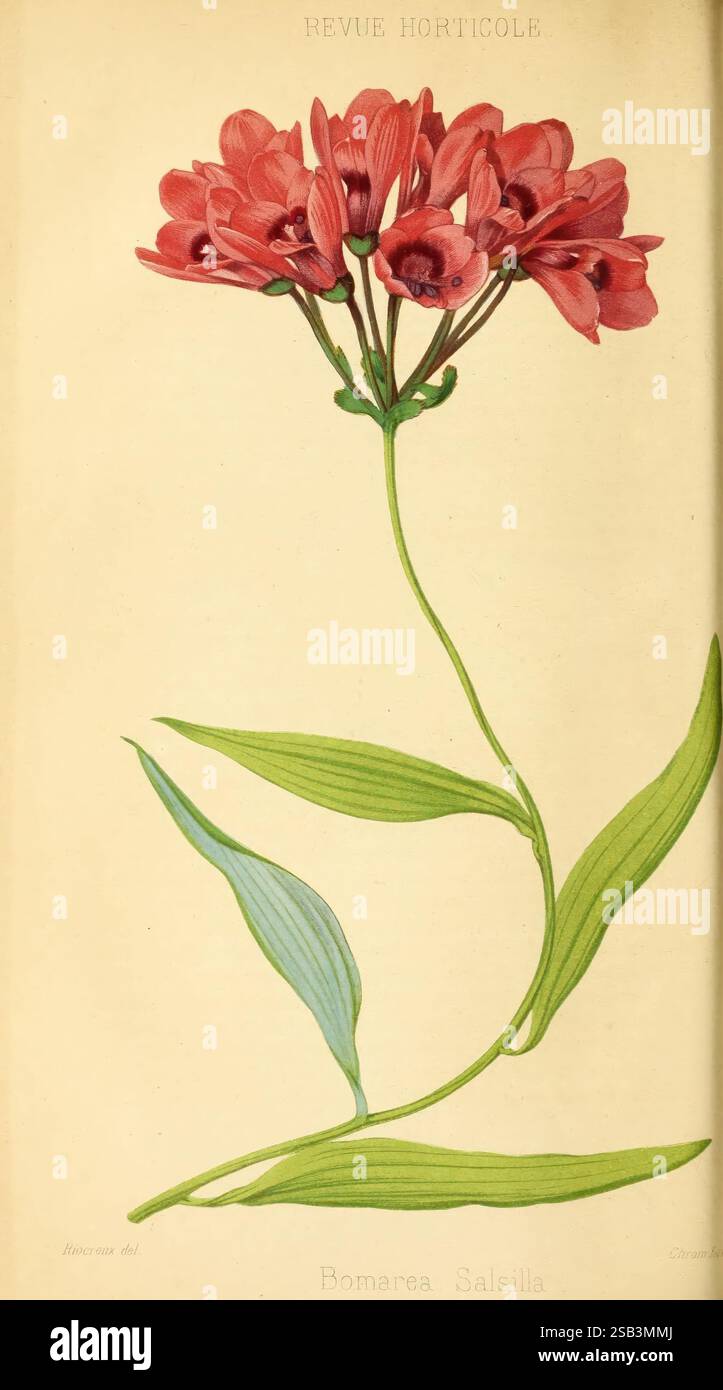Revue horticole Paris Librairie agricole de la maison rustique 1829 ...